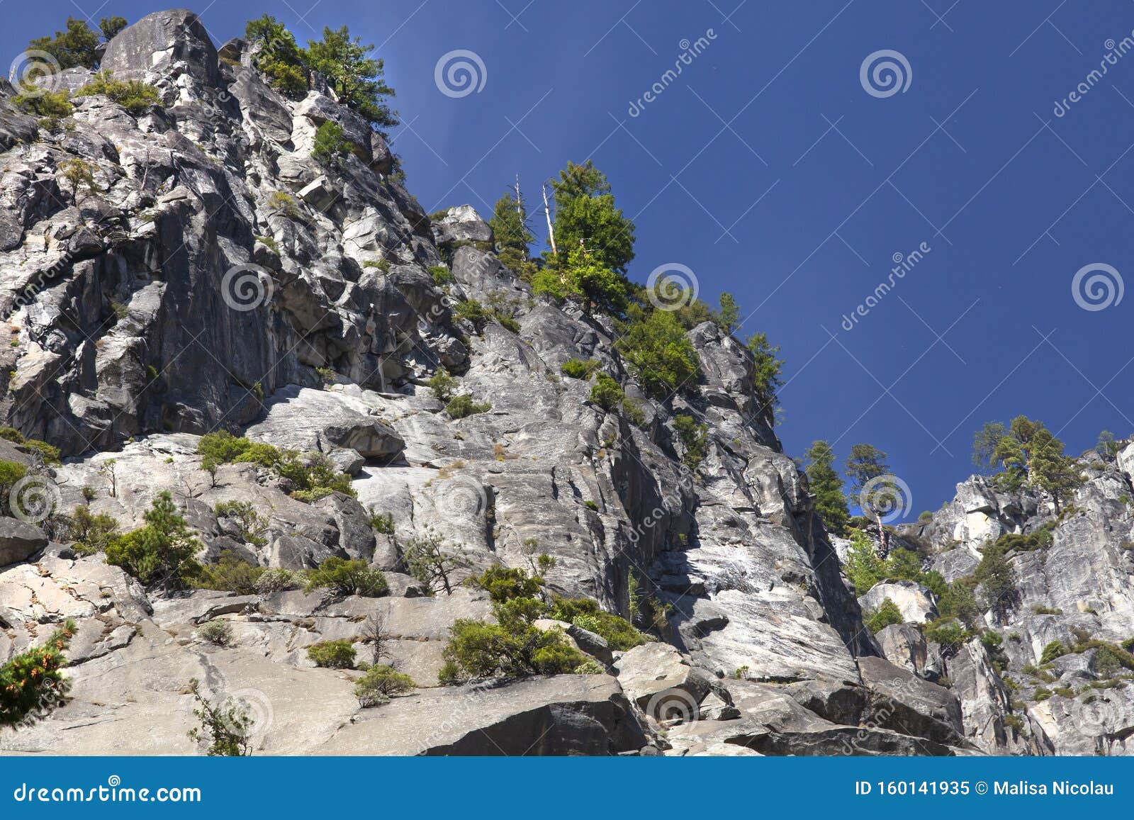 Granite Formations and Natural Growth in Yosemite Stock Image - Image ...