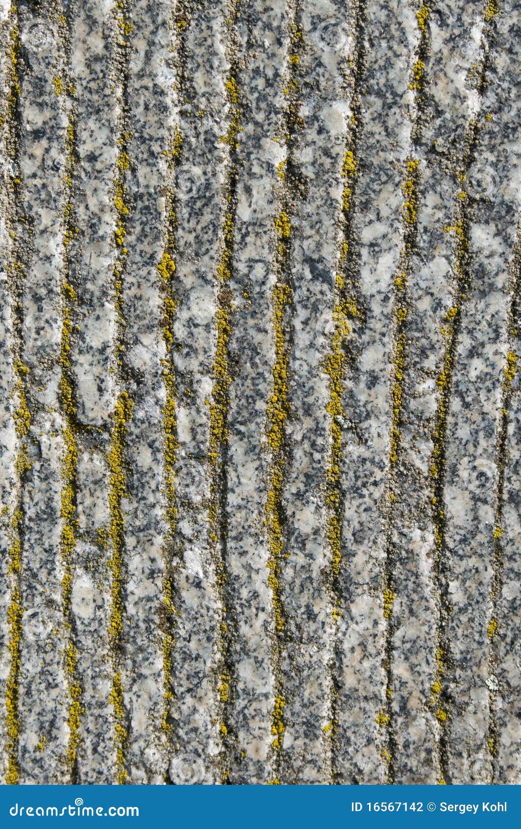 Granite and moss. stock photo. Image of gray, stone, texture - 16567142
