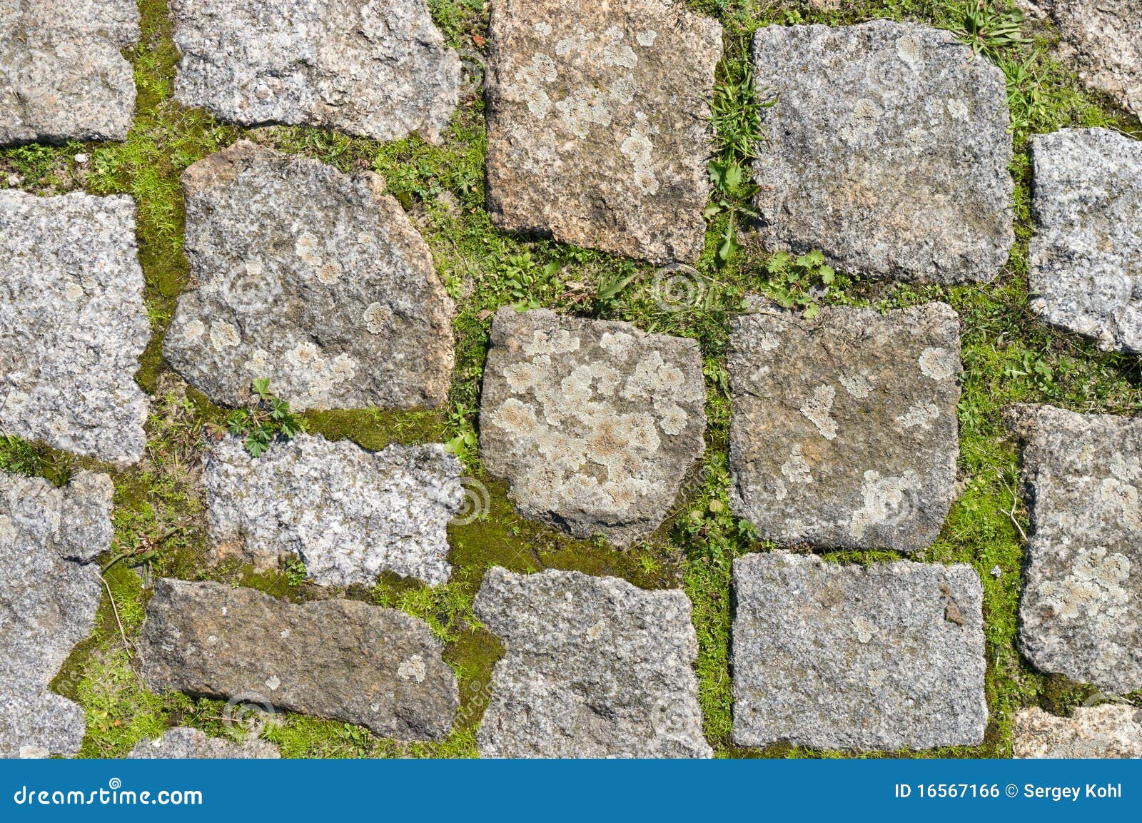 Granite and moss. stock photo. Image of paved, stone - 16567166