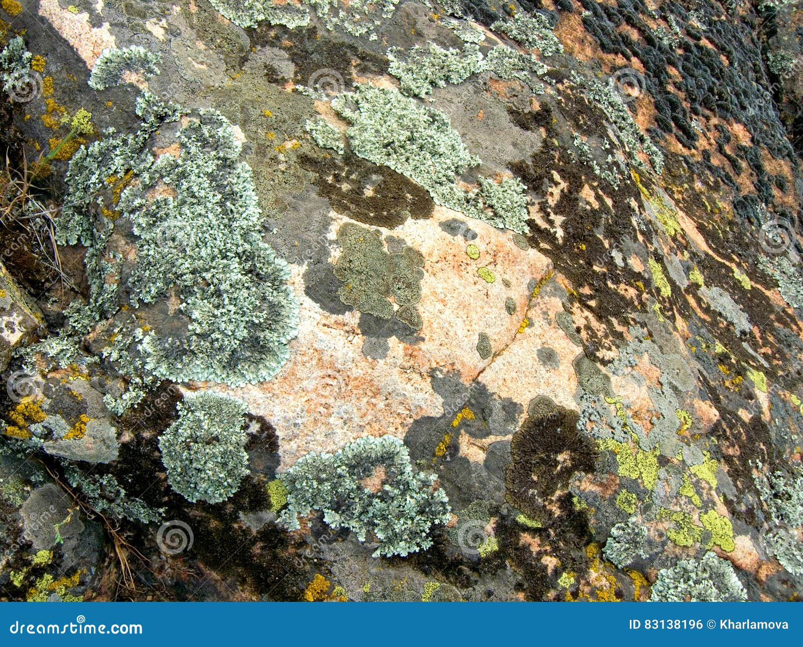 Granite Mossy, Texture, Close-up Stock Photo - Image of concrete, flat ...