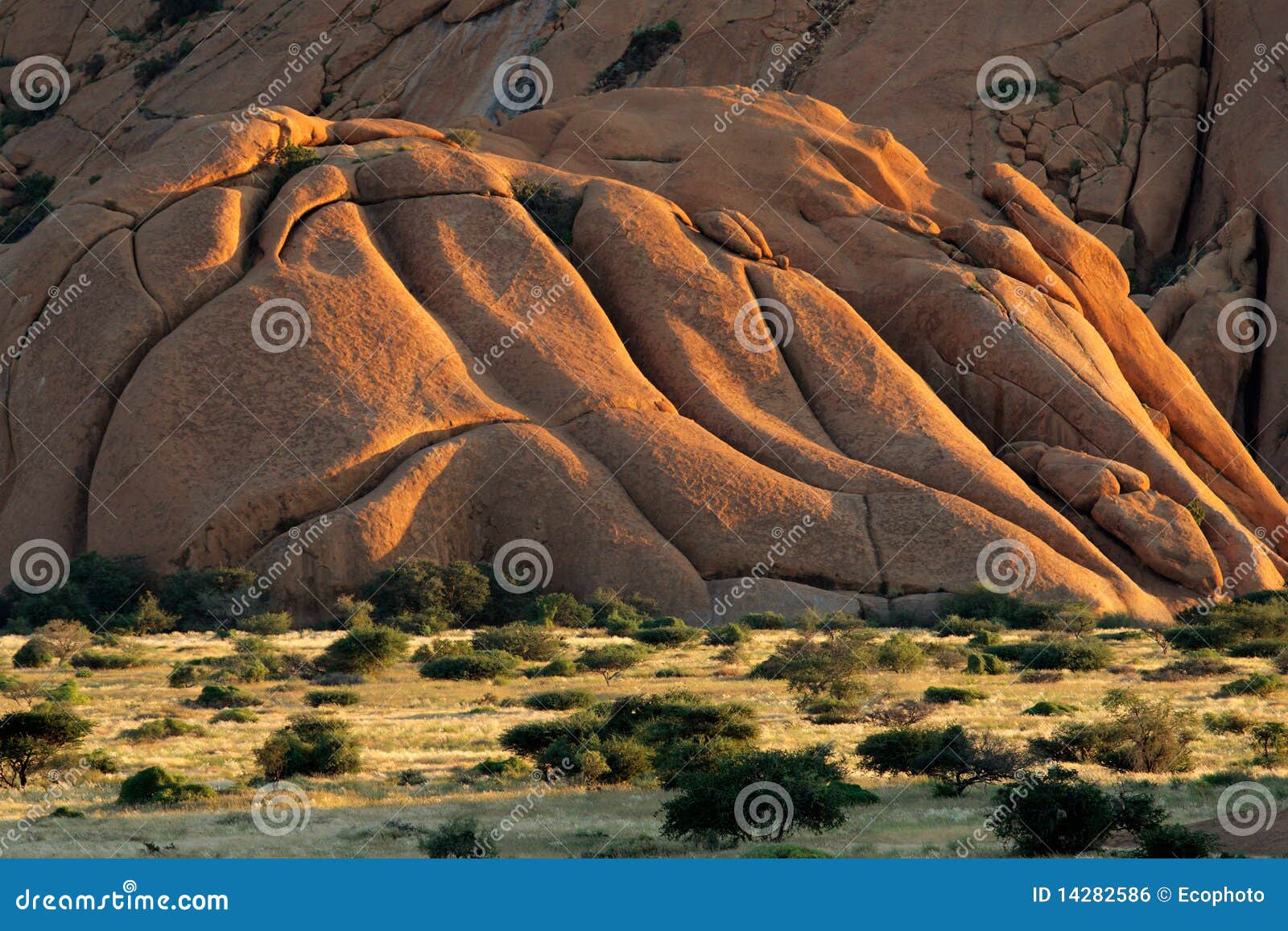 Granite Mountain, Spitzkoppe, Namibia Stock Photo - Image of grassland ...