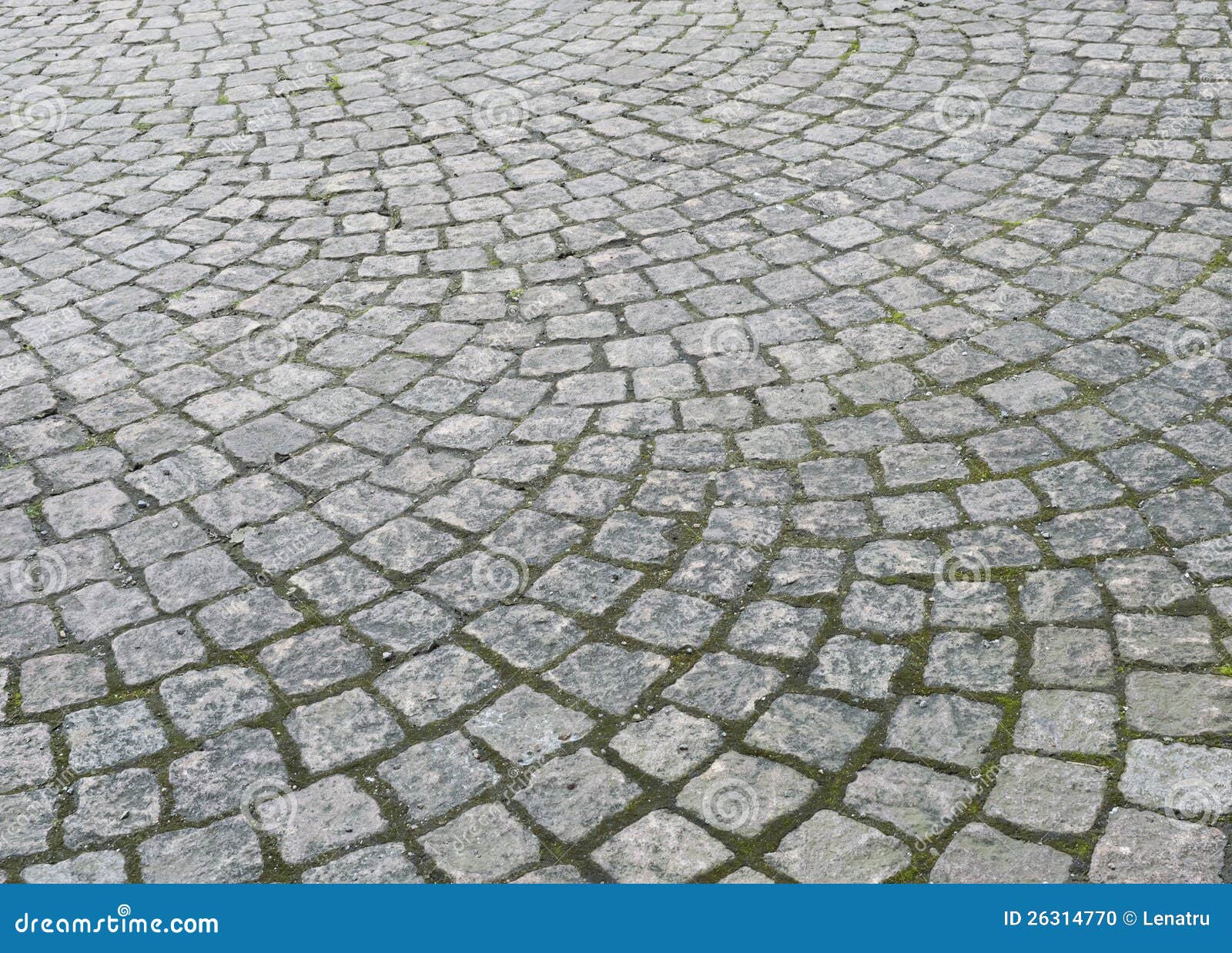 Granite paved street stock photo. Image of construction - 26314770