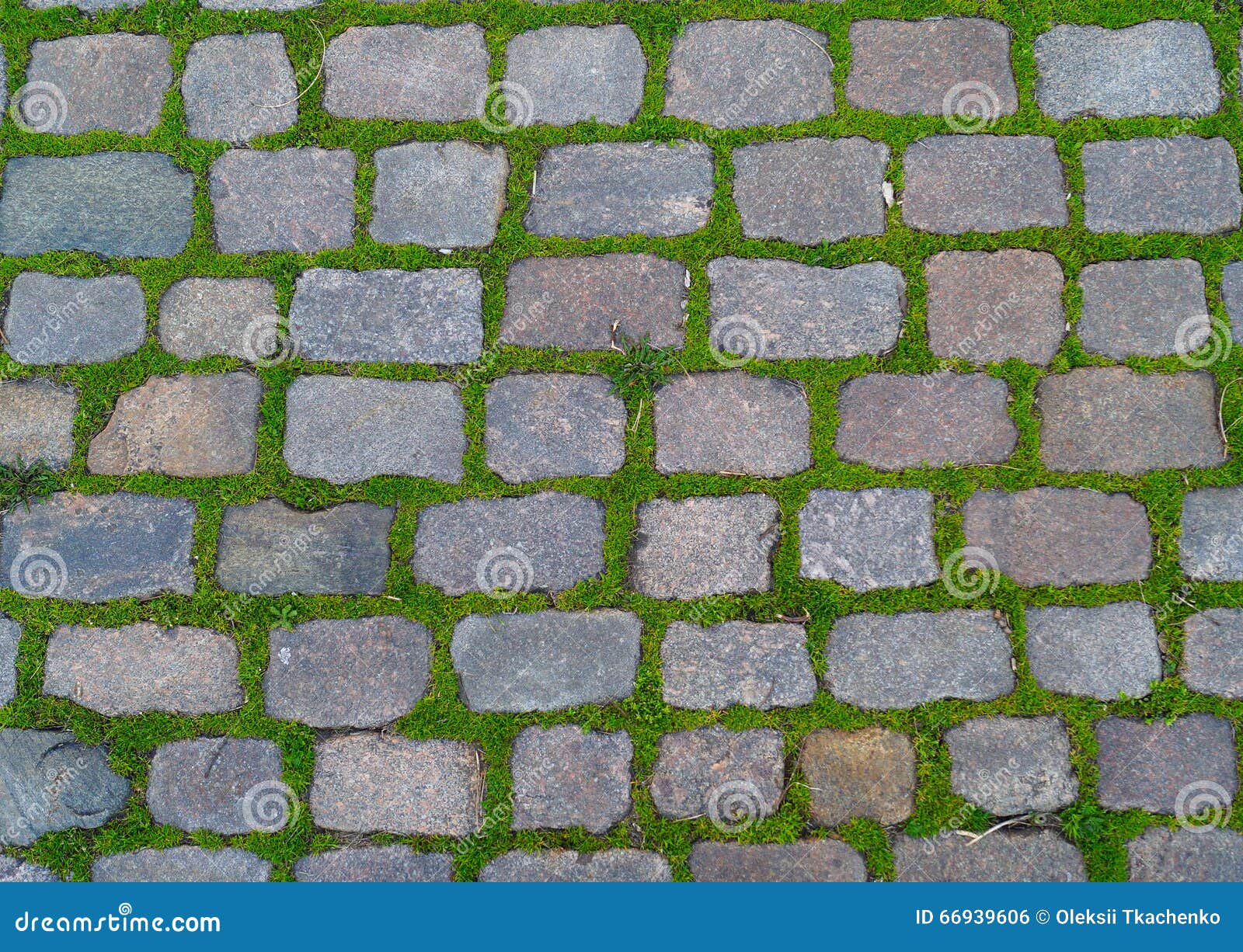 Granite Pavement with Grass Sprouted Stock Photo - Image of building ...