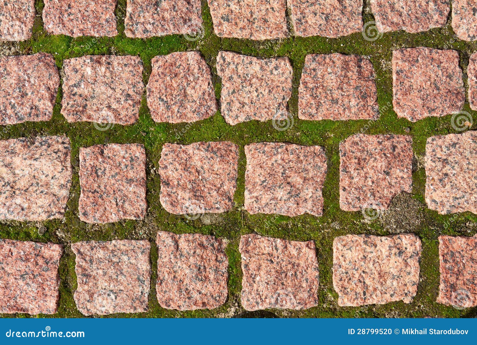Granite pavers with grass stock photo. Image of outdoors - 28799520