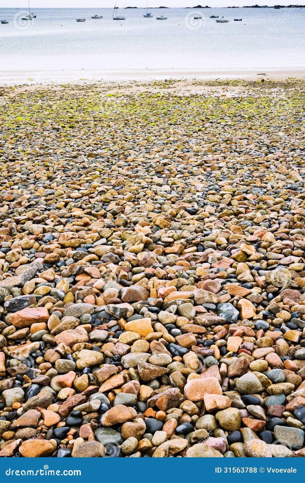 Granite Pebble and Boulder Beach Stock Photo - Image of brittany ...