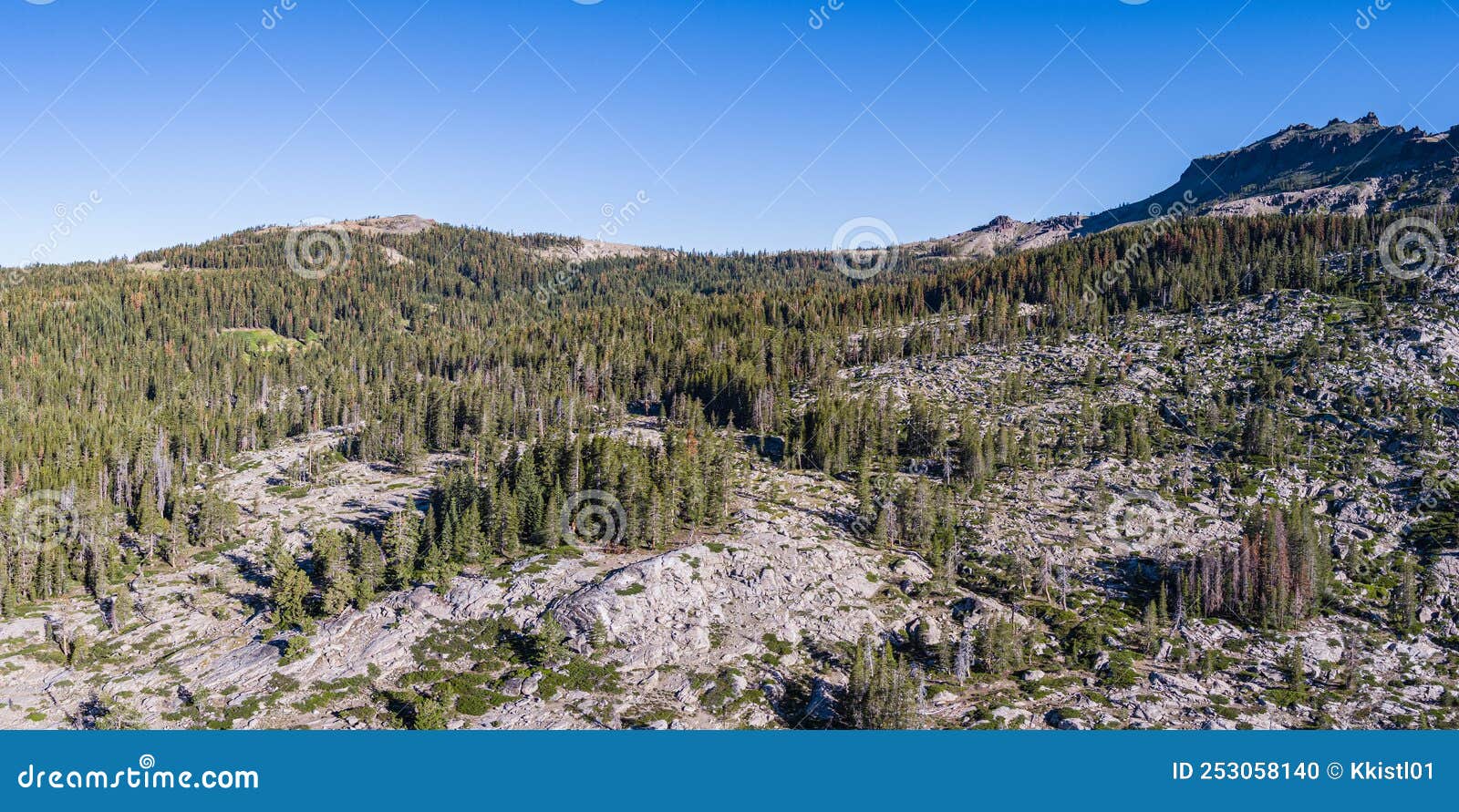 Granite Rock Fields and Forest Stock Photo - Image of trail, rock ...