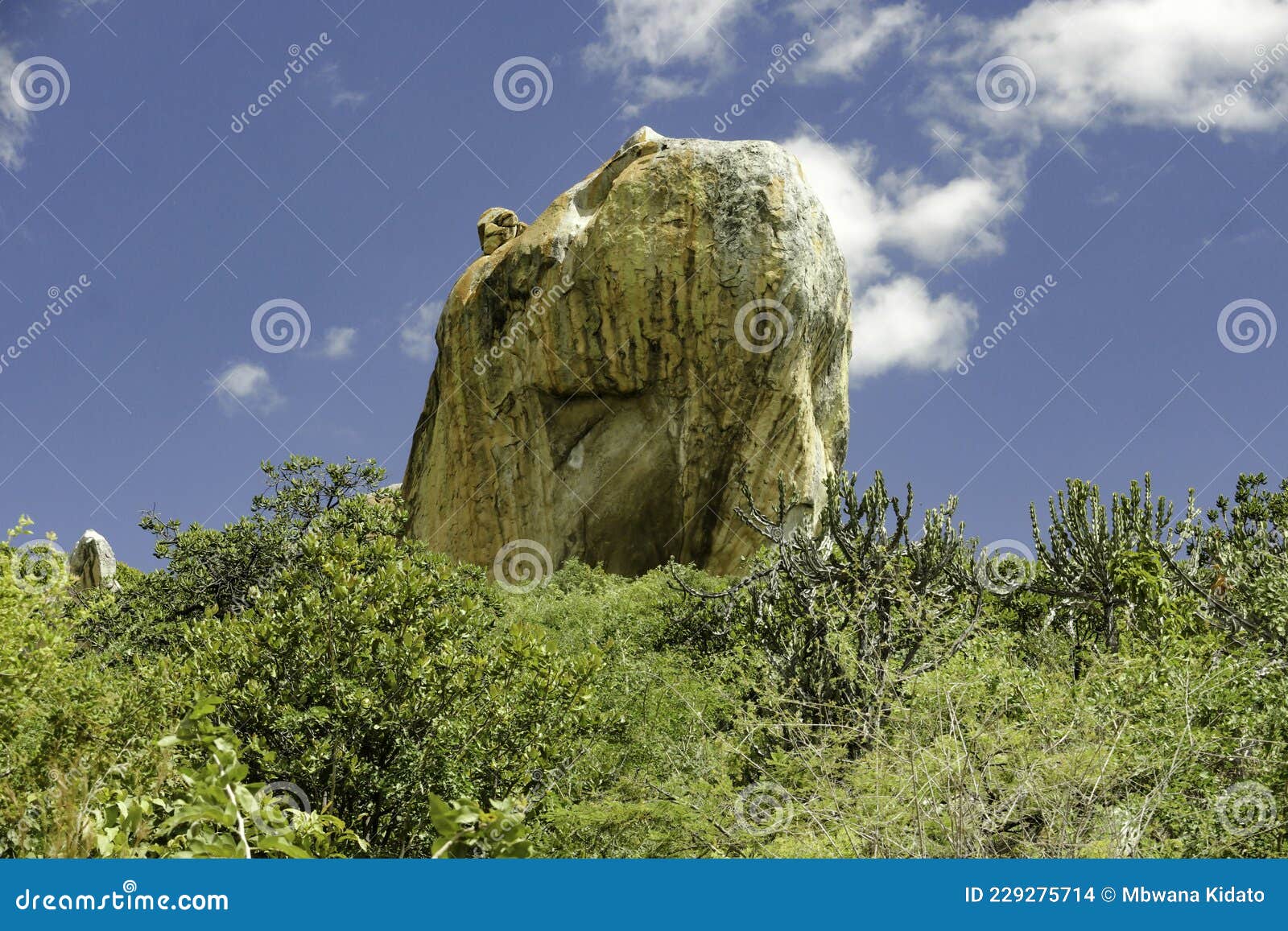 Granite rock formation stock photo. Image of blue, grass - 229275714