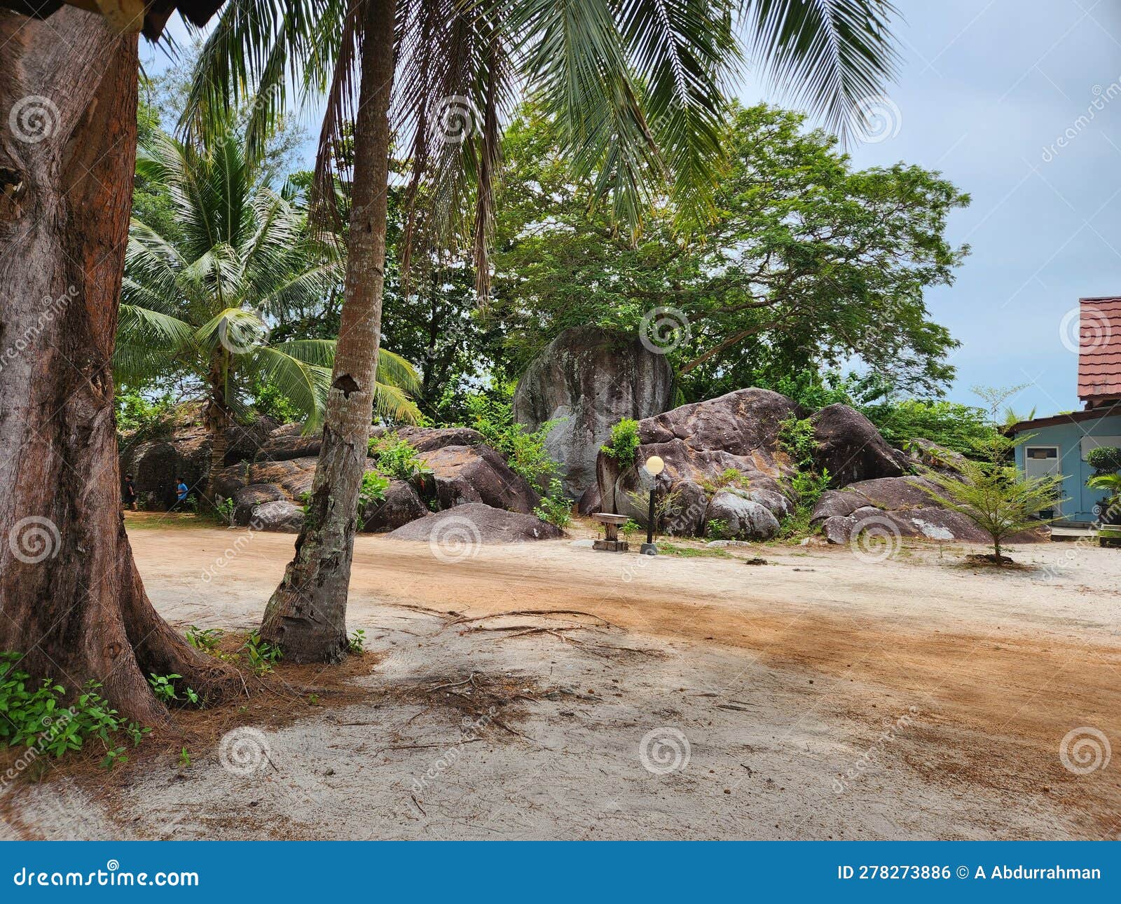 Granite Rock Formations and Dense Trees and Coconut Trees? Stock Photo ...