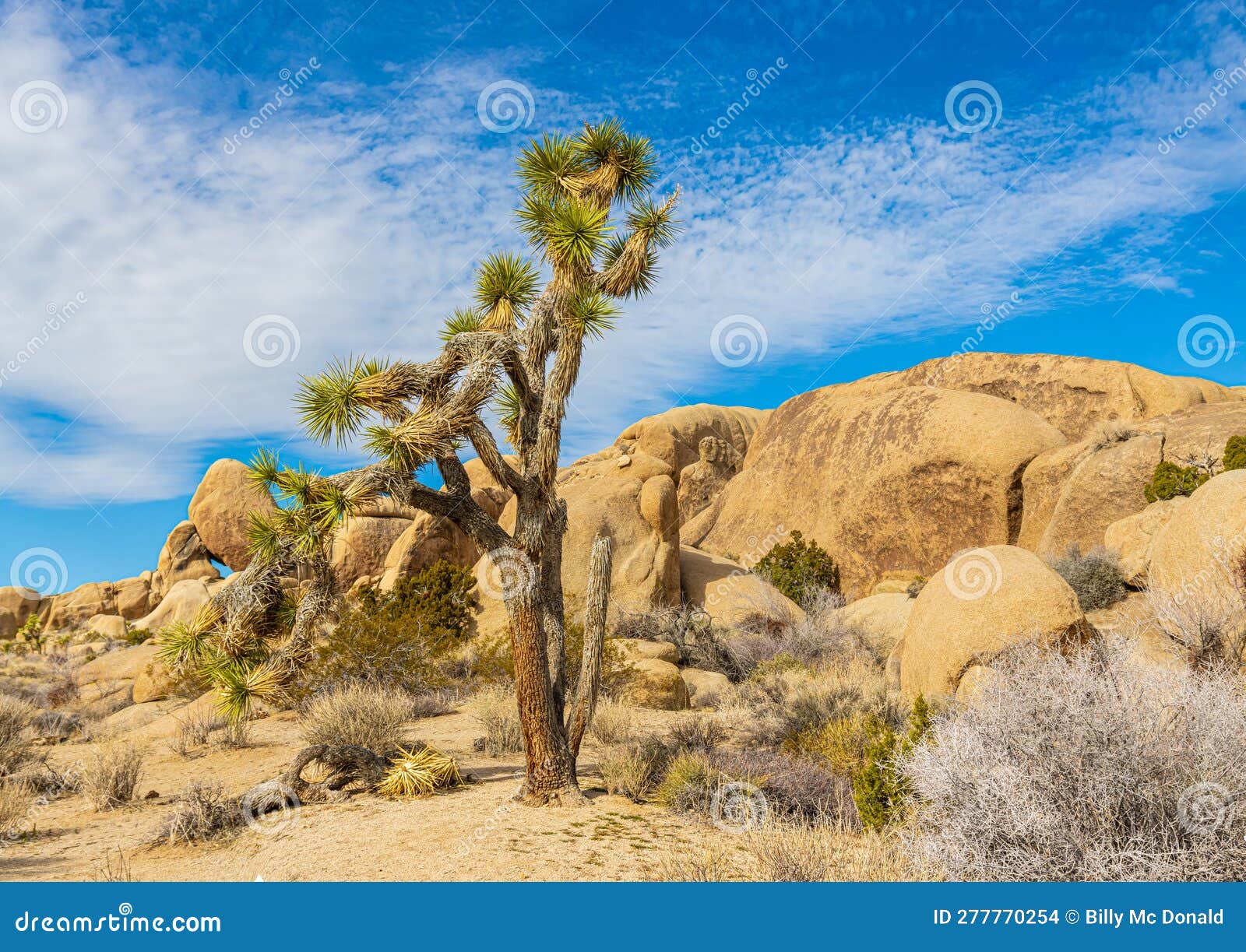 Granite Rock Formations on the Split Rock Loop Trail Stock Photo ...