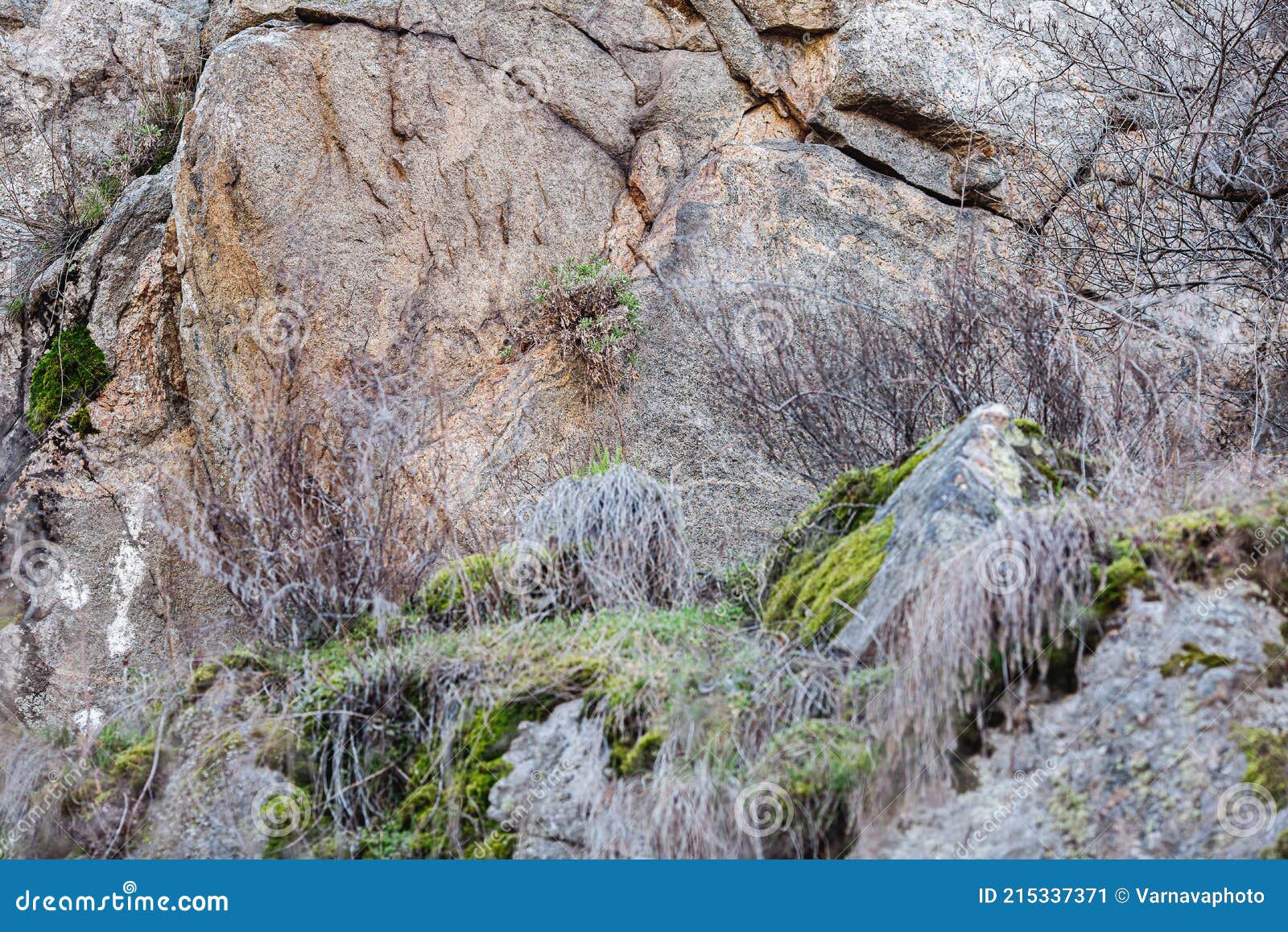 Granite Rock Overgrown with Moss and Grass at the Base Stock Image ...