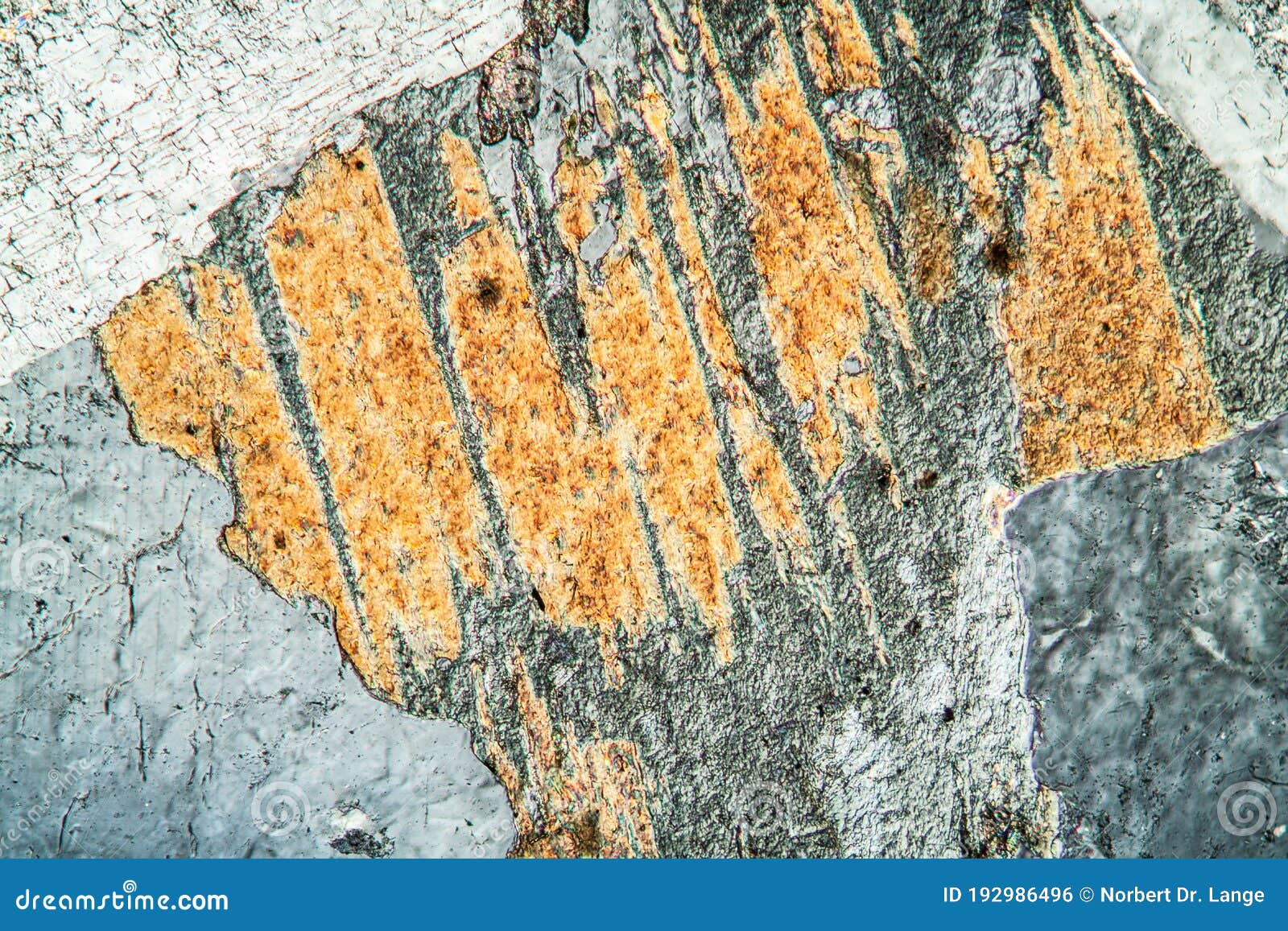 Granite Rock Under the Microscope Stock Photo - Image of macro, science ...