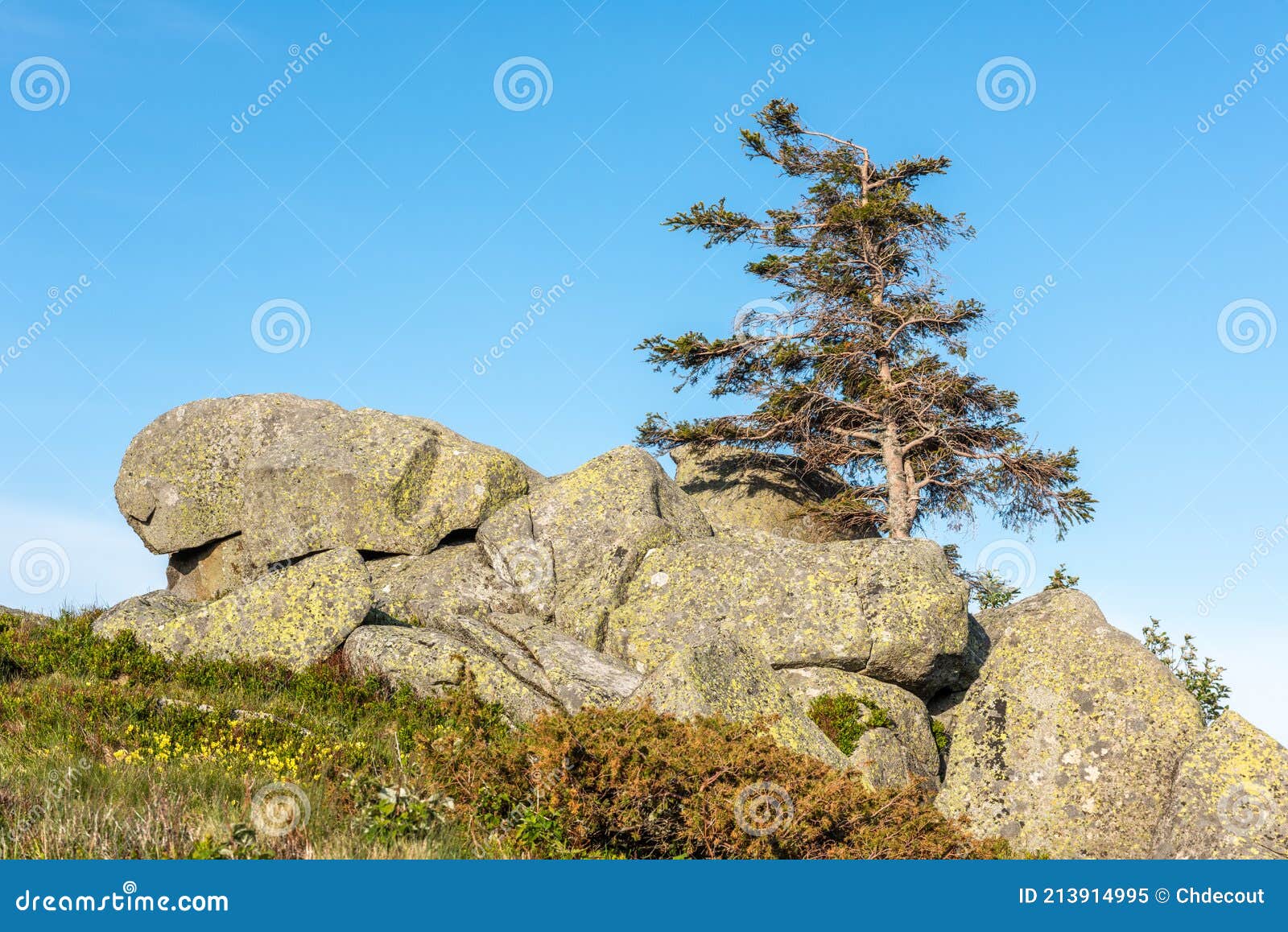 Granite Rocks in the Vosges Mountains Stock Image - Image of granite ...