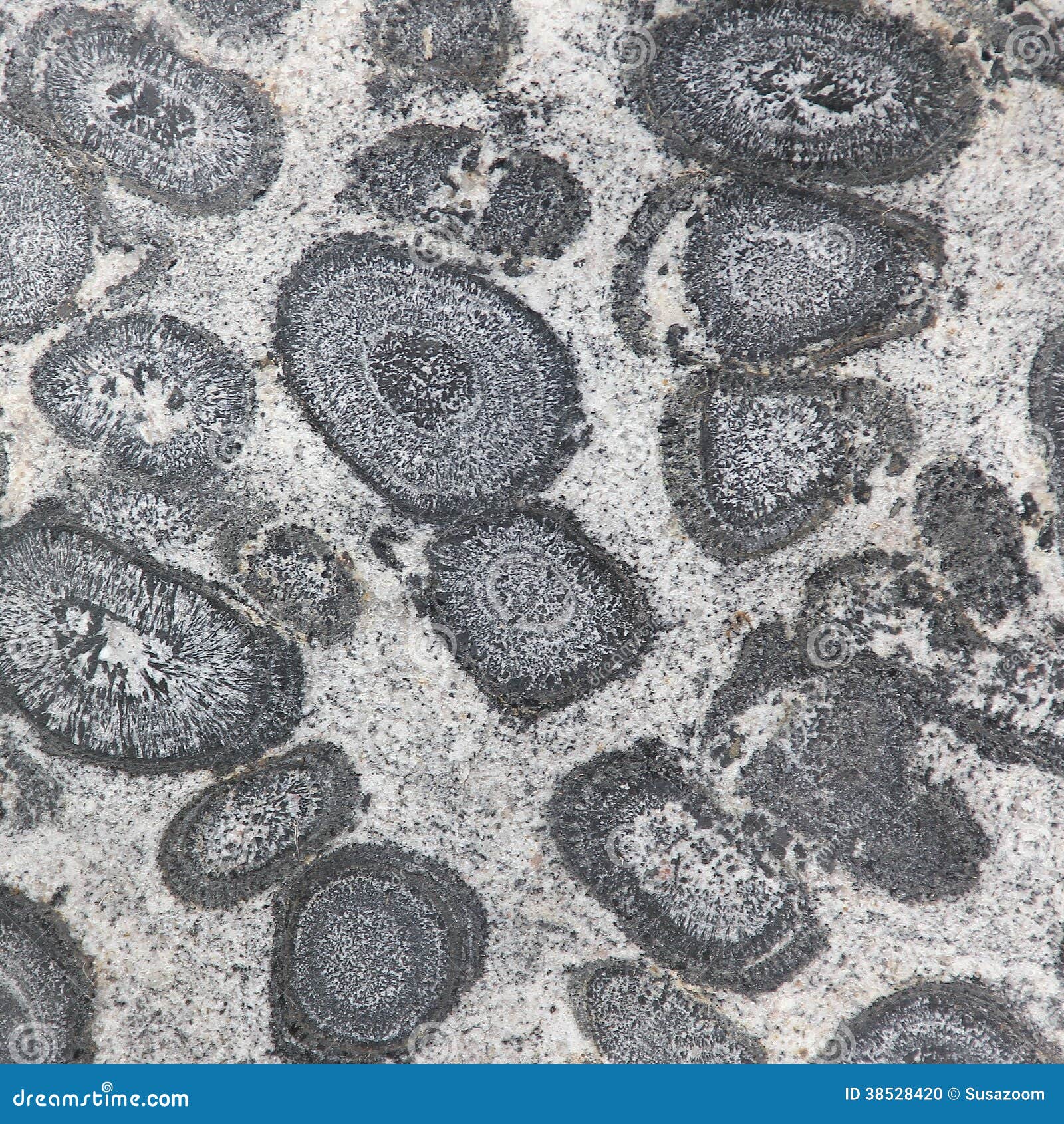 Granite Stone with Enclosed Geodes Stock Photo - Image of granite ...