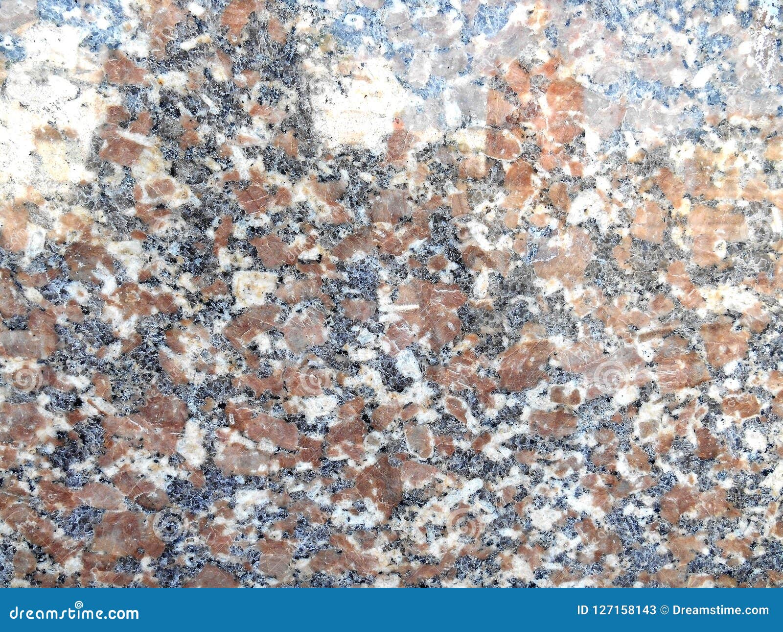 Granite Stone Glossy Brown Granite Substrate Stock Illustration ...