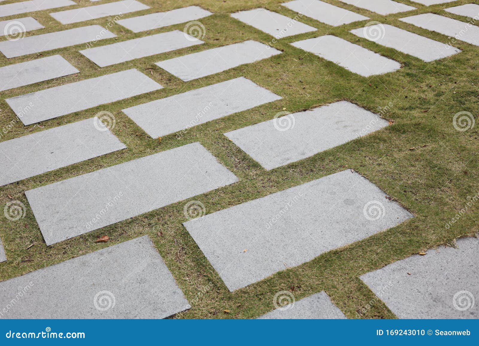 A Granite Stone Pathway on Green Grass Stock Photo - Image of ...