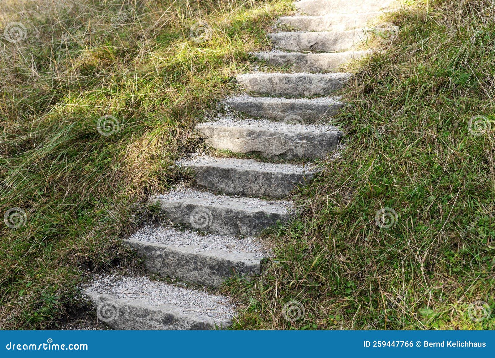 Granite Stone Steps on the Slope with a Meadow on the Right and Left ...