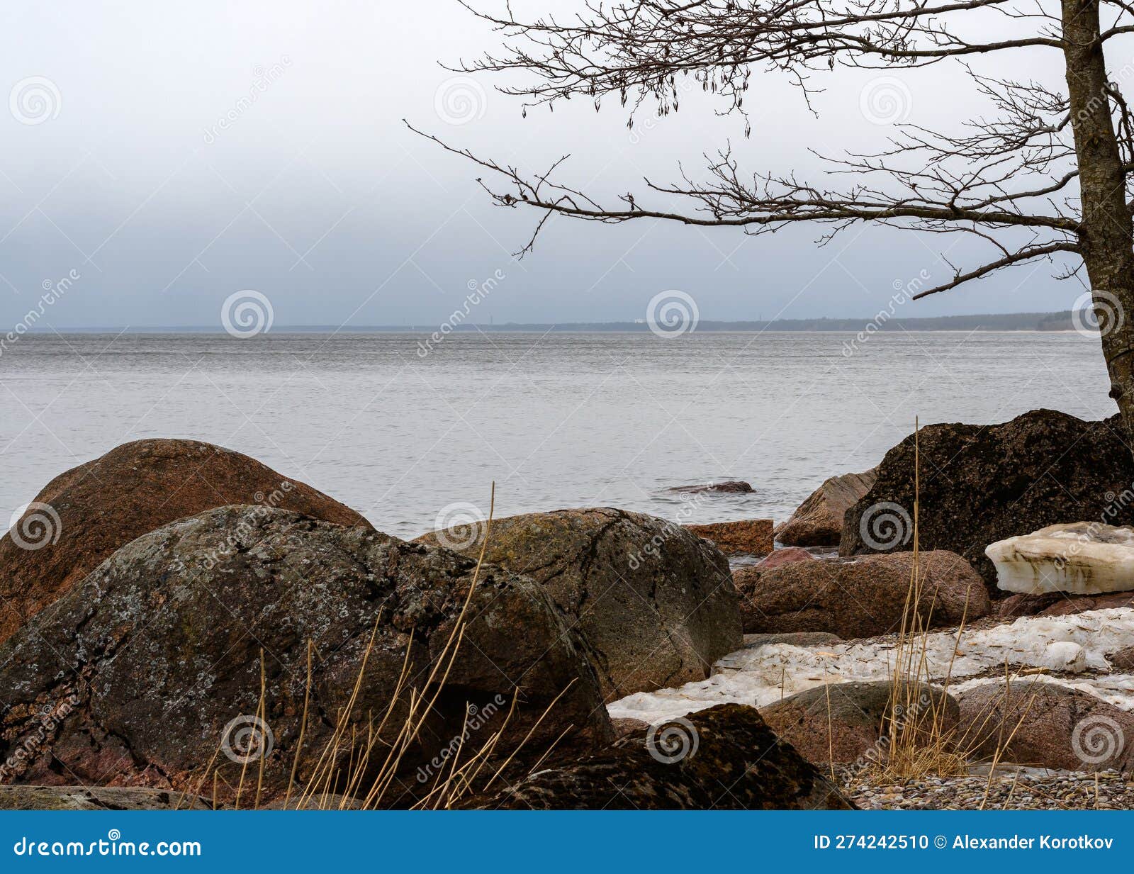 Granite Stones and Ice on the Shore of the Baltic Sea in Spring Stock ...