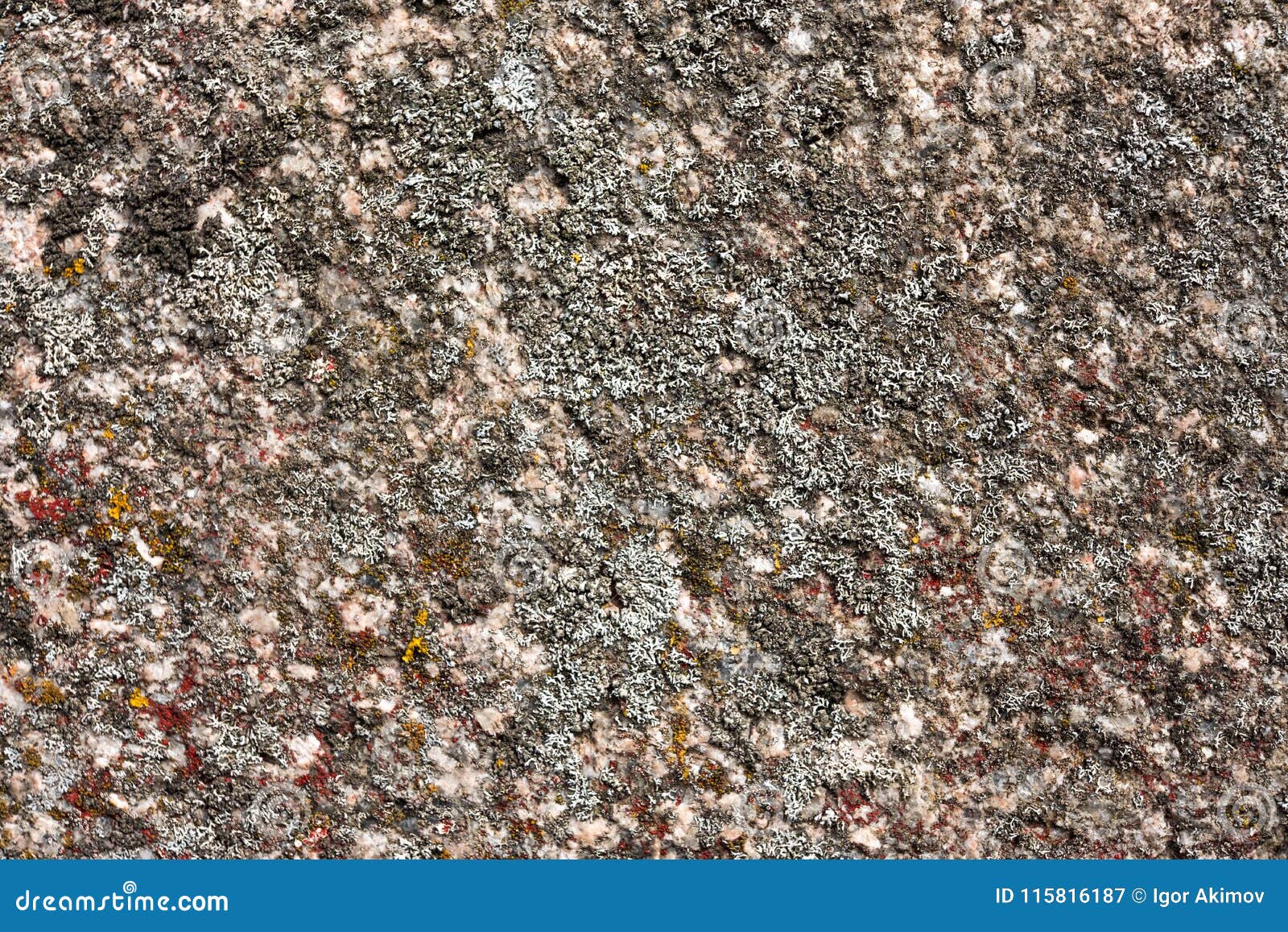 Granite Surface Overgrown with Moss Stock Image - Image of beautiful ...