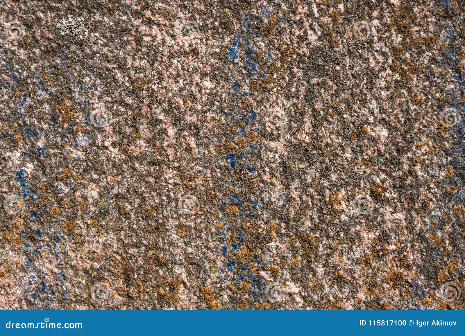 Granite Surface Overgrown with Moss Stock Photo - Image of natural ...