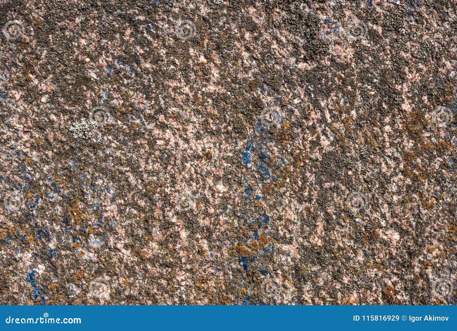 Granite Surface Overgrown with Moss Stock Image - Image of rough ...