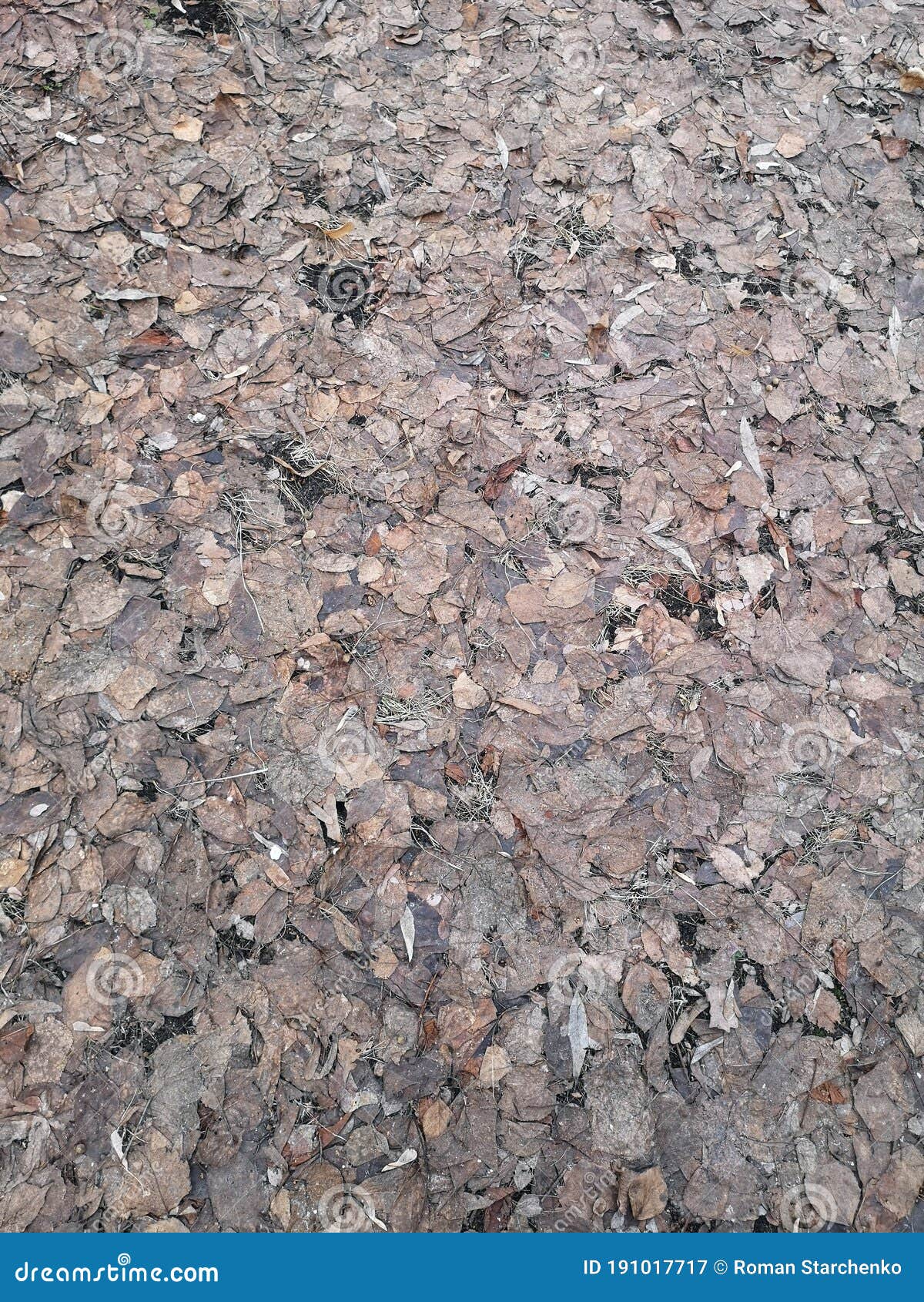 Granite Texture - Marble Layers Design Gray Stone Slab Surface Rock ...