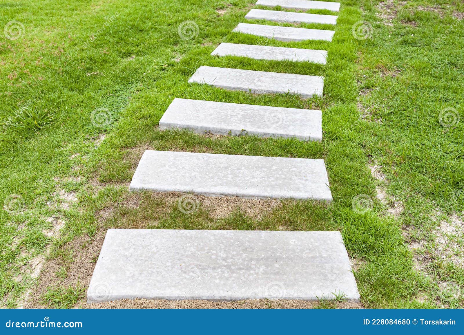 Granite Walkway Slabs Patterned in Green Lawns at the Garden Stock ...