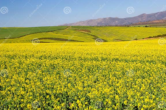 Granja #8 foto de archivo. Imagen de alternativa, agricultura - 280882