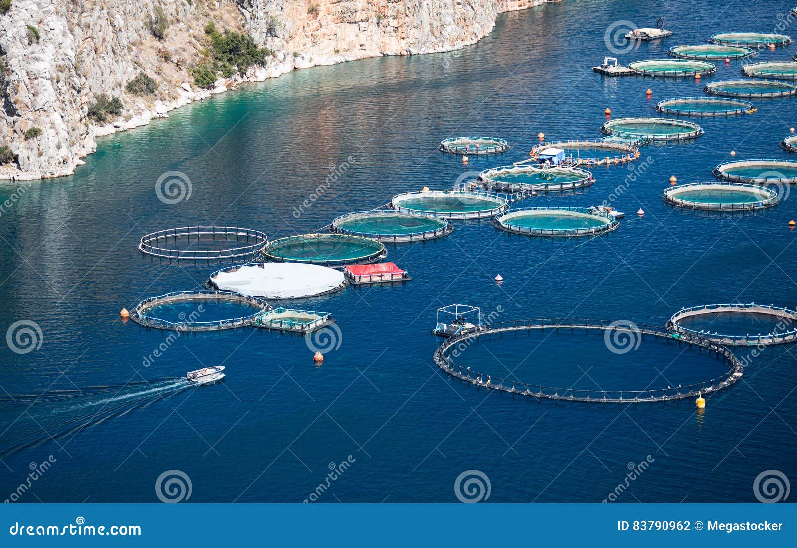 Granja De Pescados En El Mar Foto de archivo - Imagen de agricultura ...