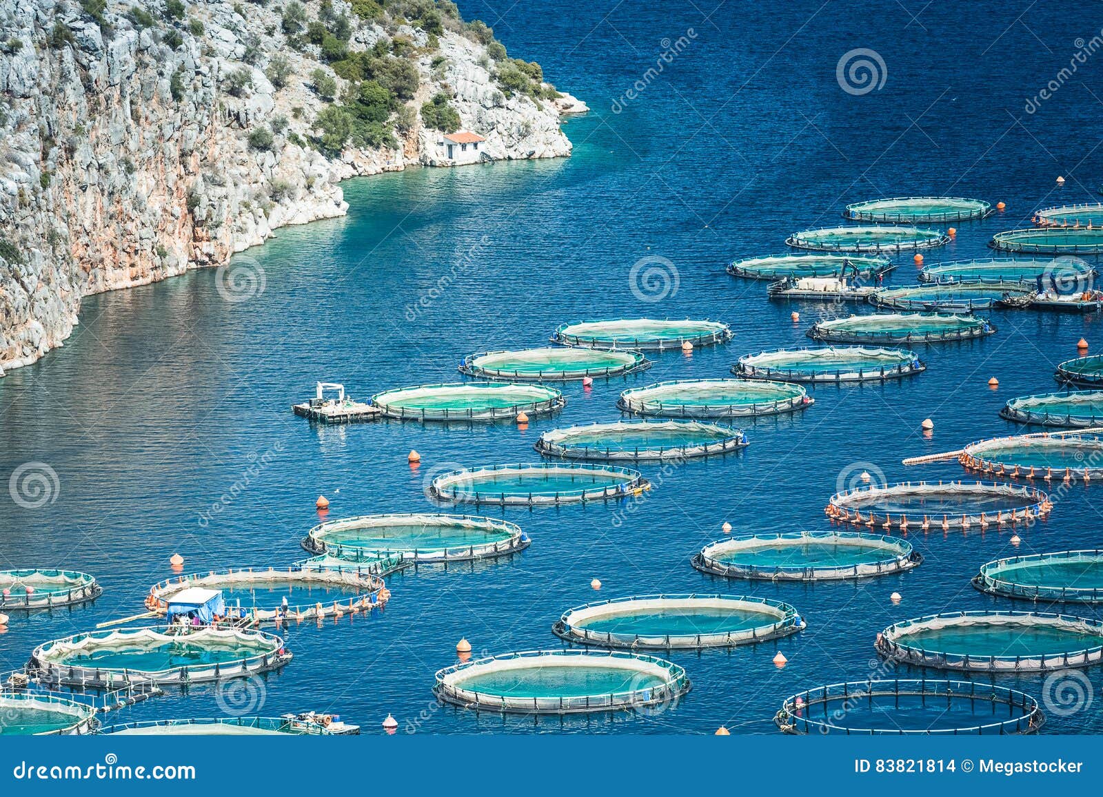 Granja De Pescados En El Mar Foto de archivo - Imagen de grecia ...