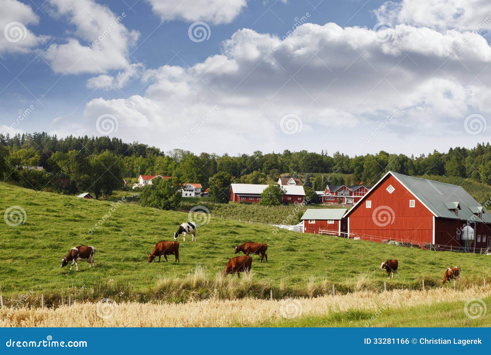 Granja Vieja Roja En Un Campo Rural Foto de archivo - Imagen de campos ...