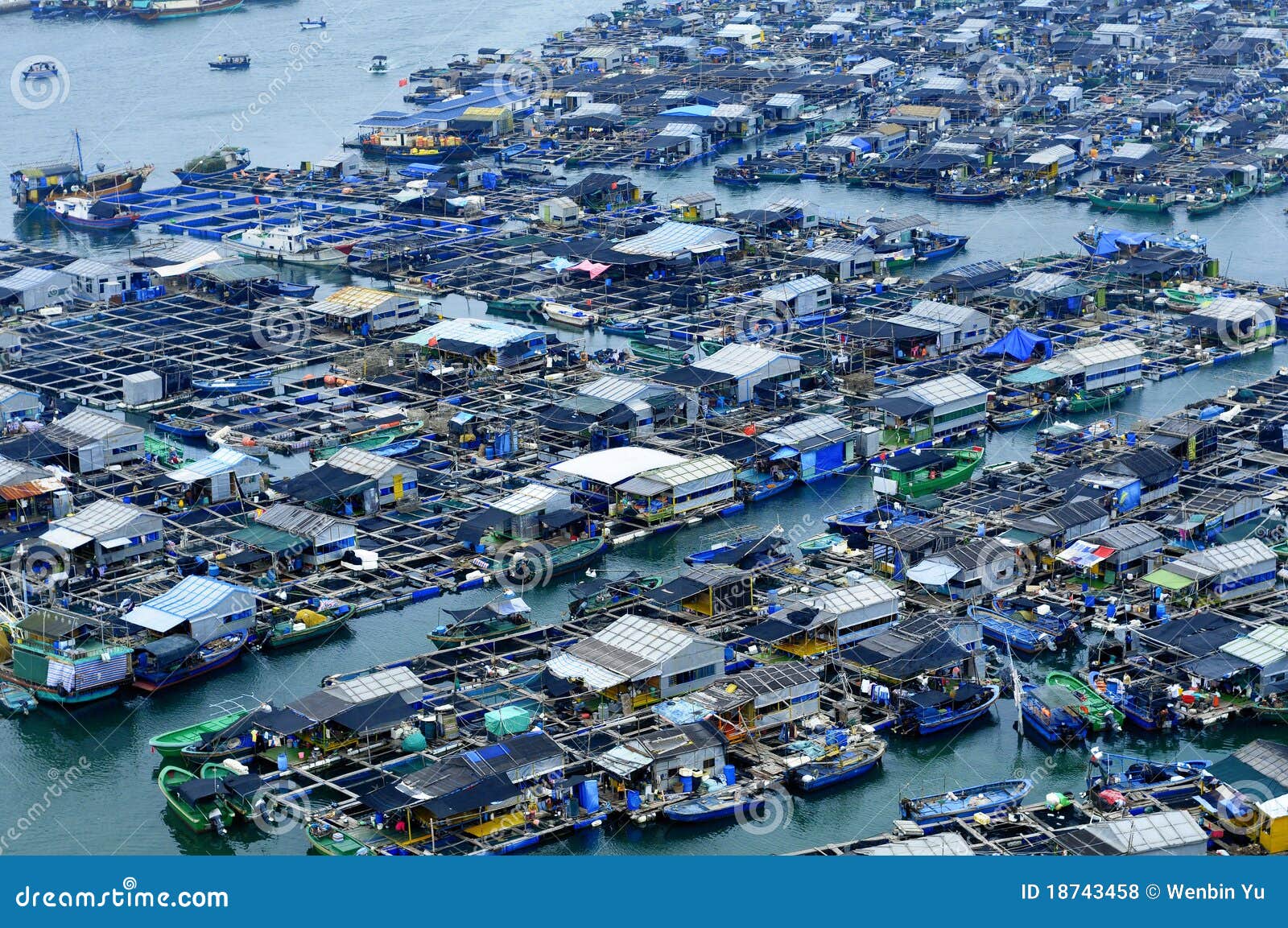 Granjas De Los Peces Marinos Foto de archivo - Imagen de pesca ...