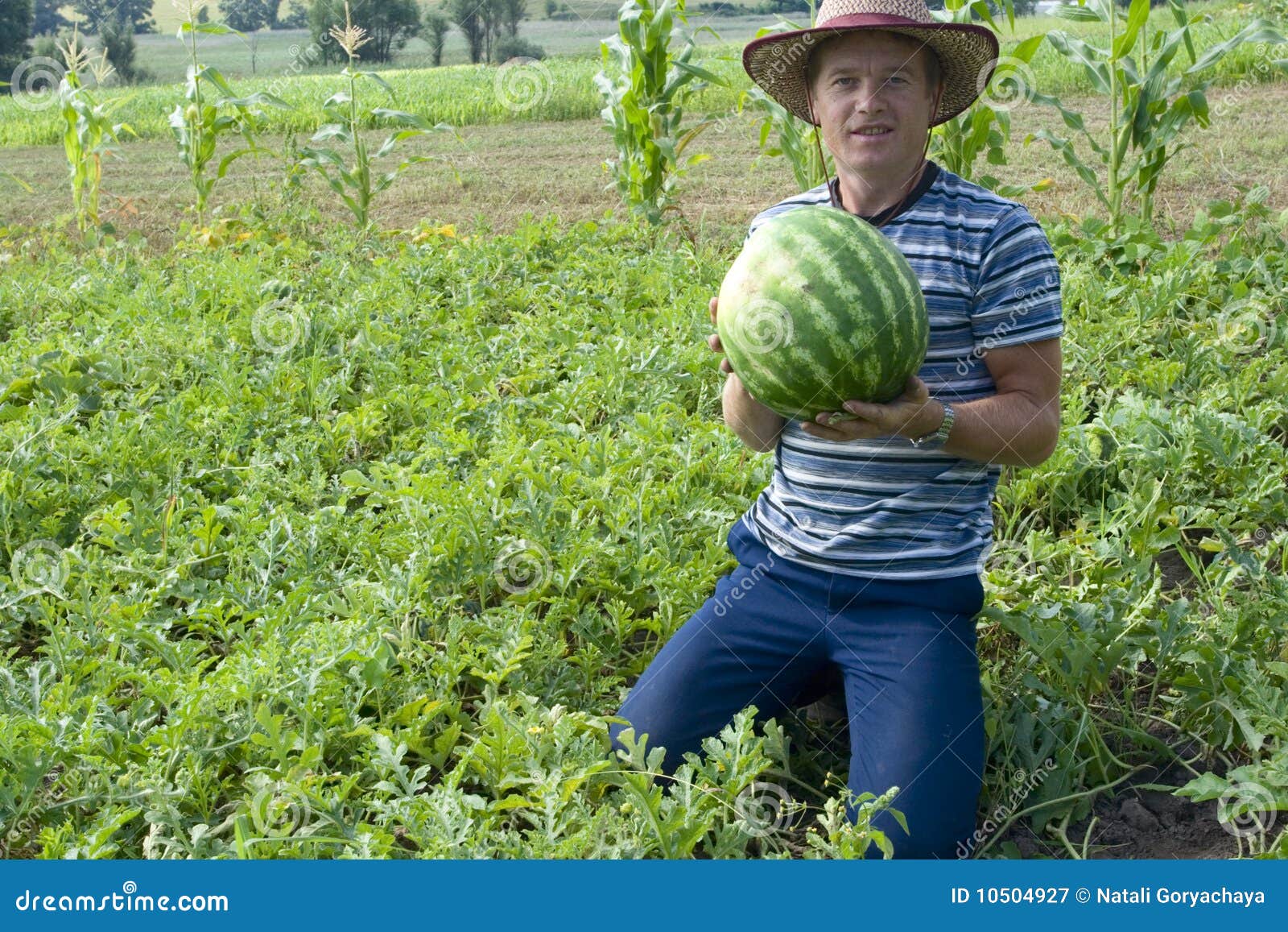 Granjero imagen de archivo. Imagen de imagen, objetos - 10504927