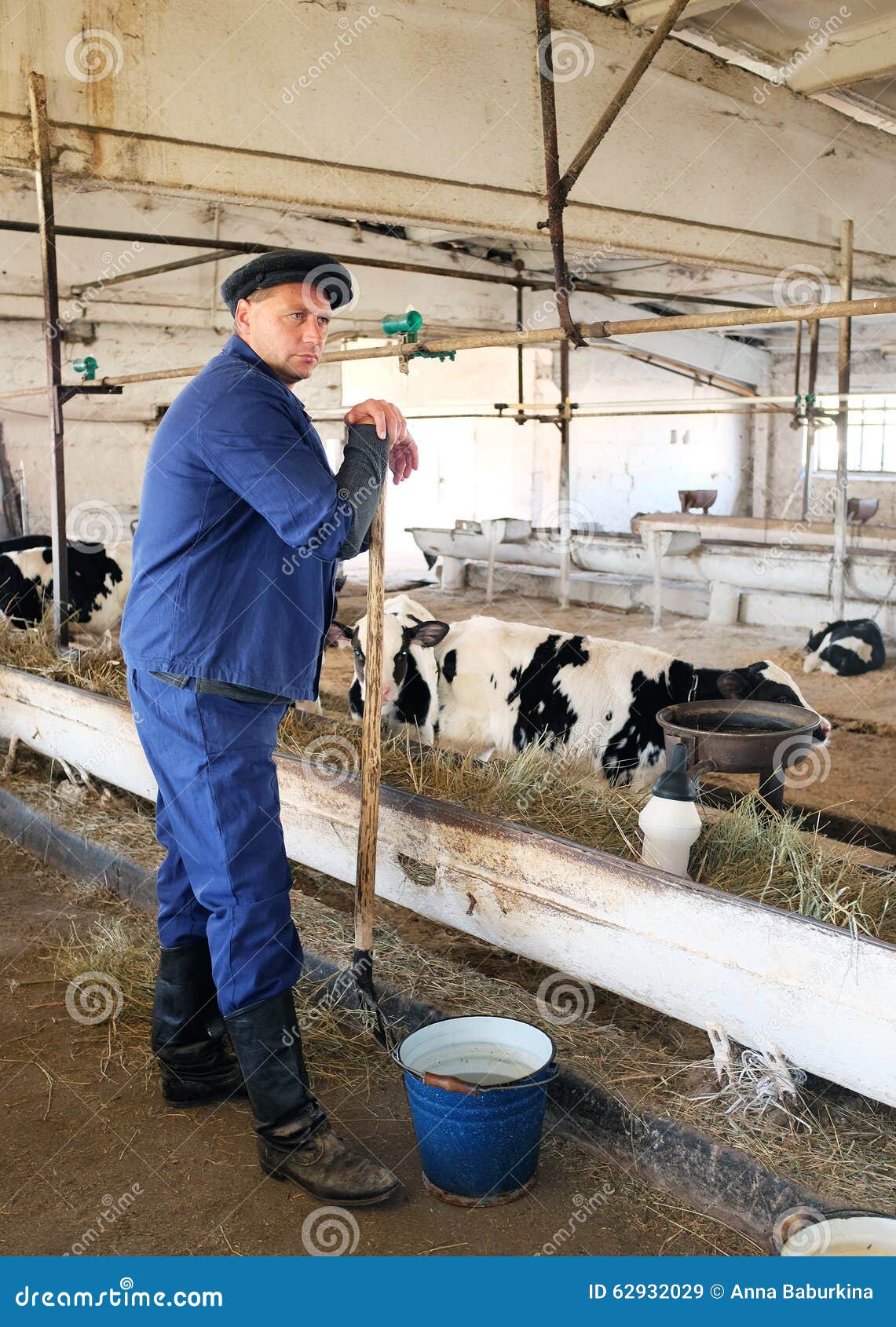 Granjero imagen de archivo. Imagen de vaca, profesional - 62932029