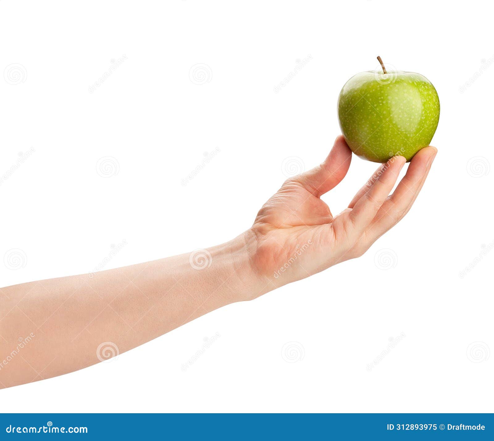 Granny smith apple in hand stock image. Image of studio - 312893975