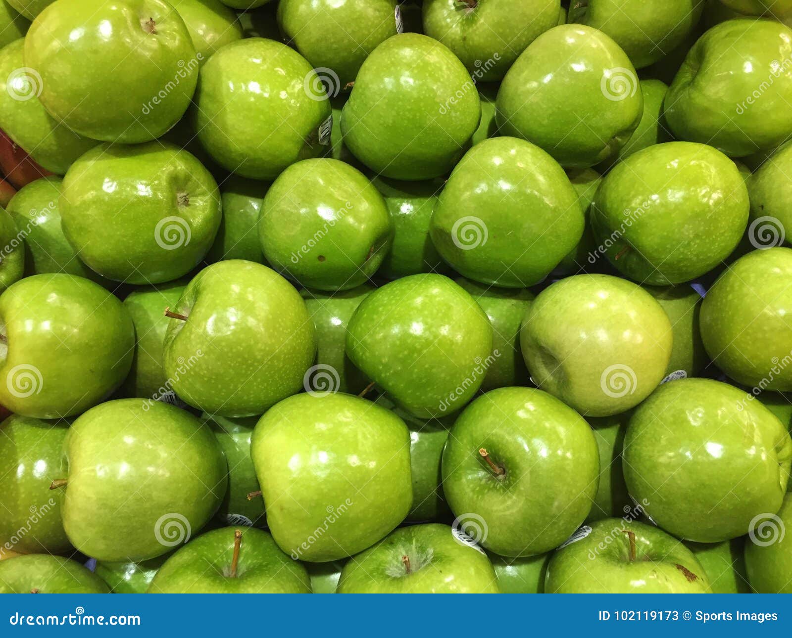 Granny Smith Apples editorial stock photo. Image of green - 102119173
