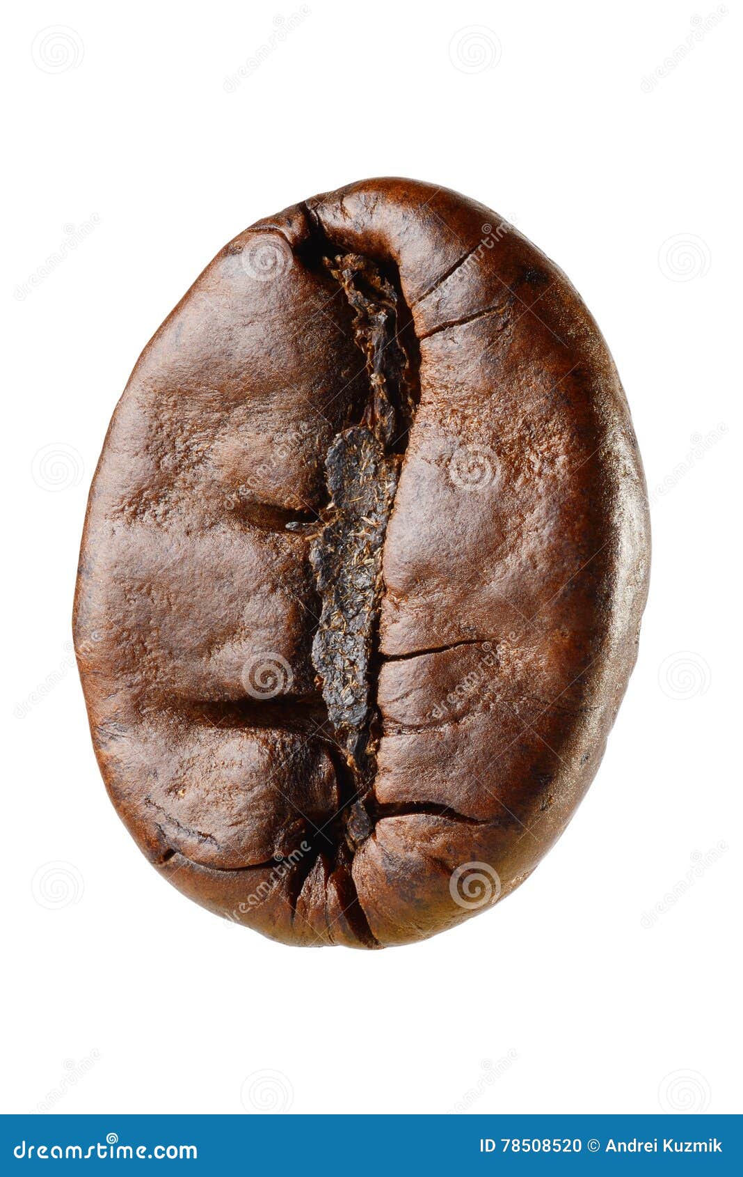 Grano de café macro foto de archivo. Imagen de camino - 78508520