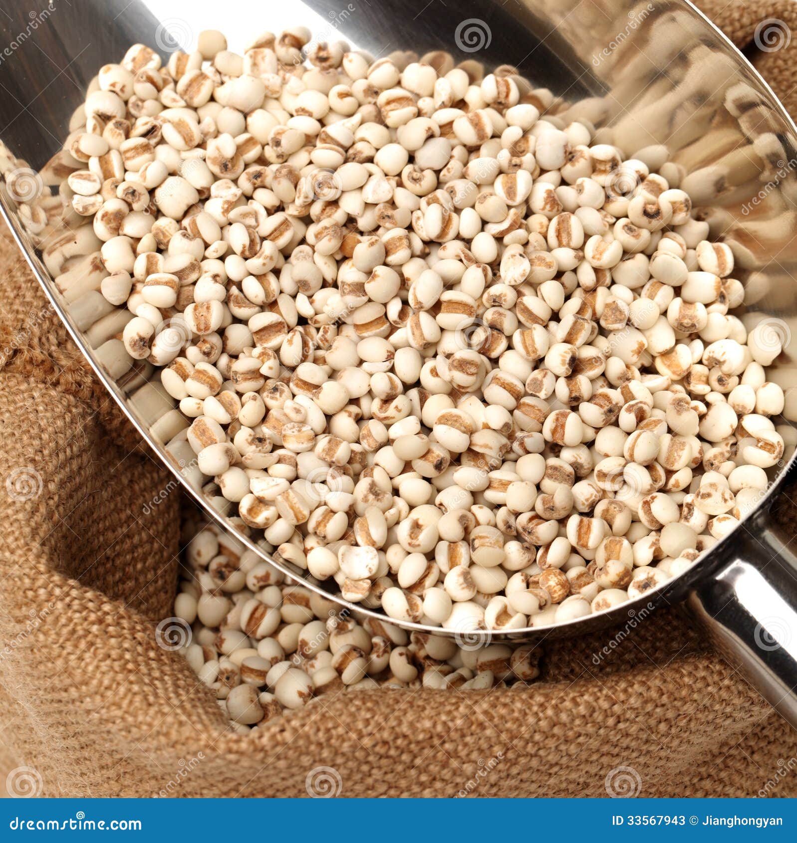 Grano de la cebada imagen de archivo. Imagen de cereal - 33567943