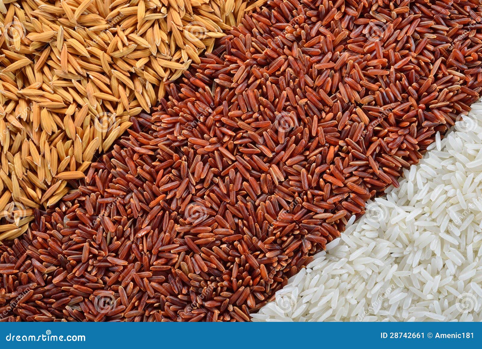 Grano del arroz imagen de archivo. Imagen de alimento - 28742661