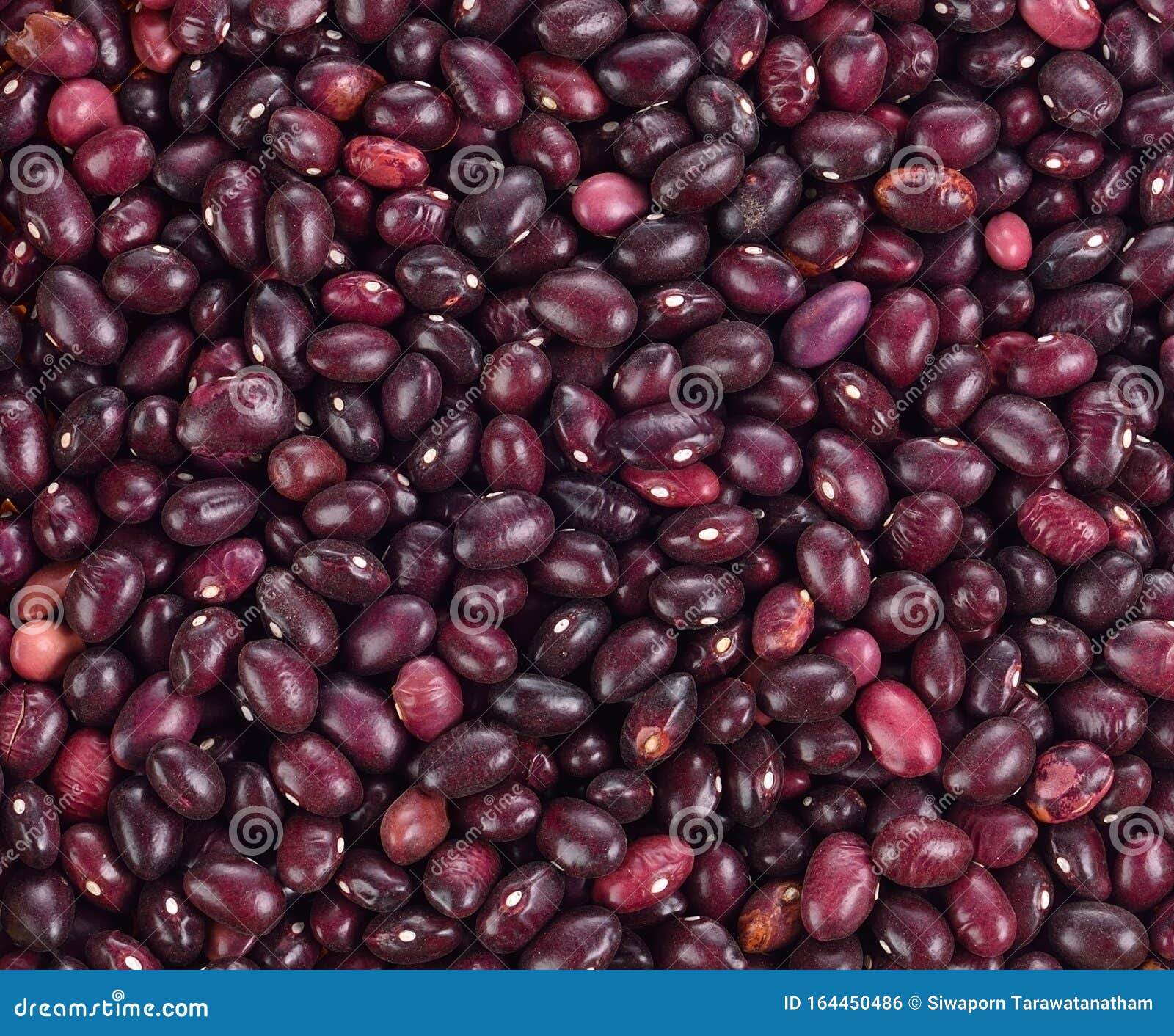 Grano Rojo Aislado En Fondo Blanco Foto de archivo - Imagen de ...