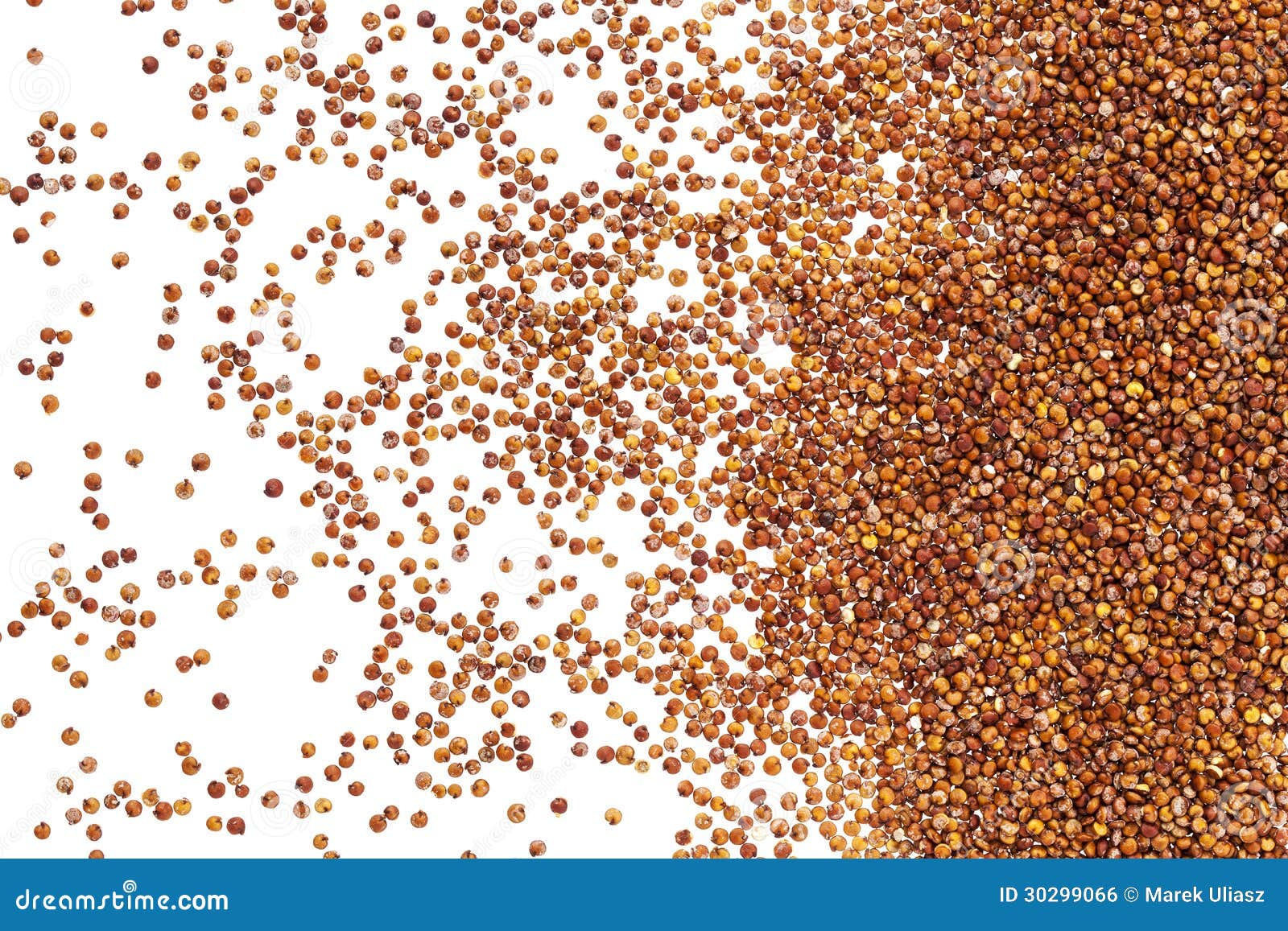 Grano rojo de la quinoa foto de archivo. Imagen de ingrediente - 30299066