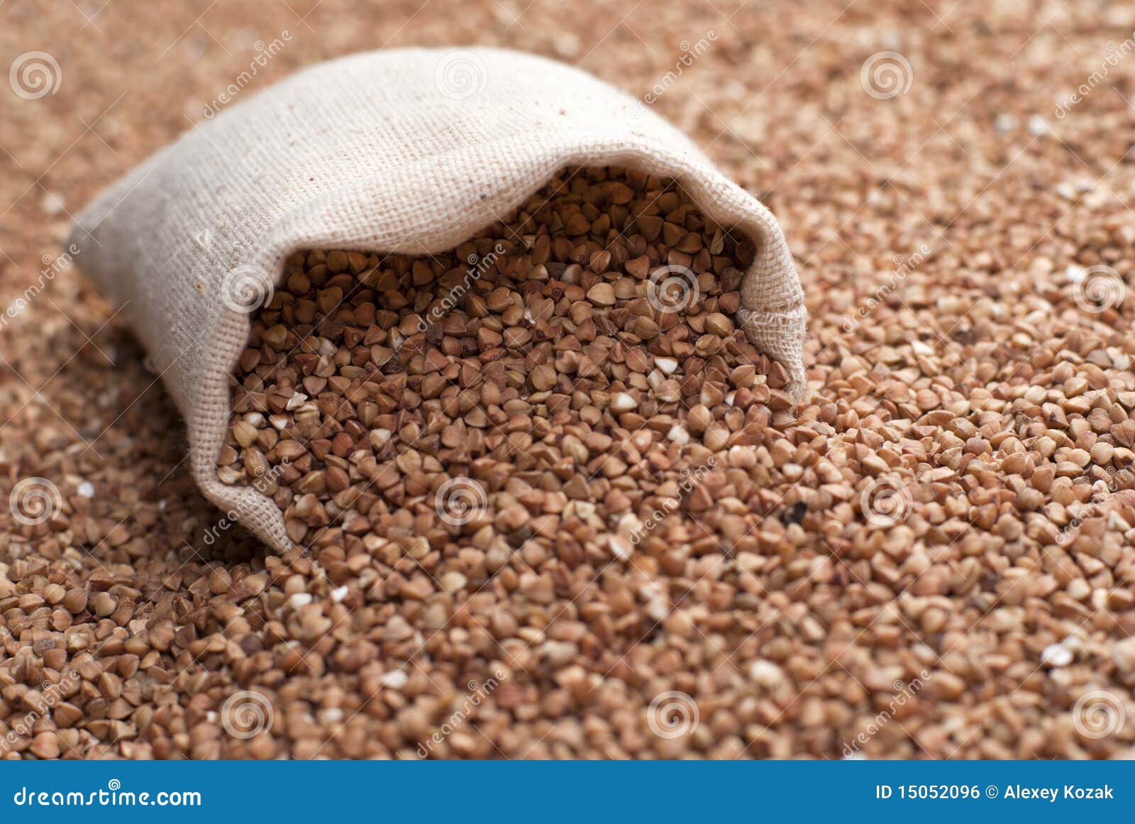 Grano saraceno in sac fotografia stock. Immagine di naughty - 15052096