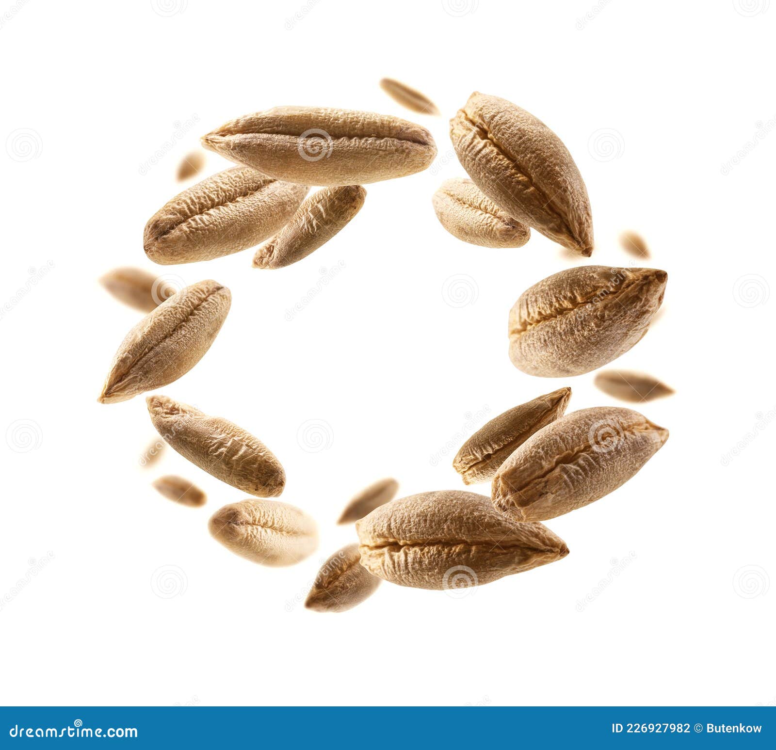 Granos De Centeno Levitando Sobre Fondo Blanco Foto de archivo - Imagen ...