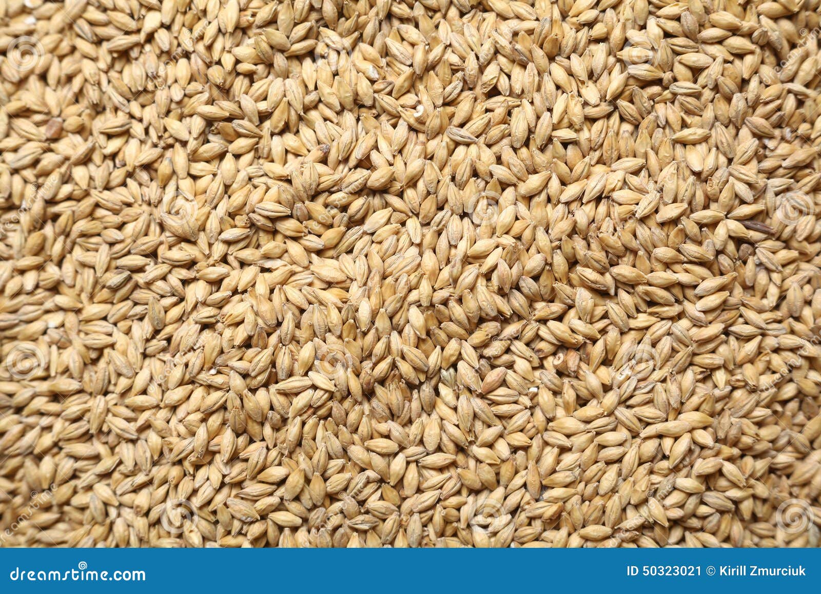 Granos de la malta imagen de archivo. Imagen de fondo - 50323021