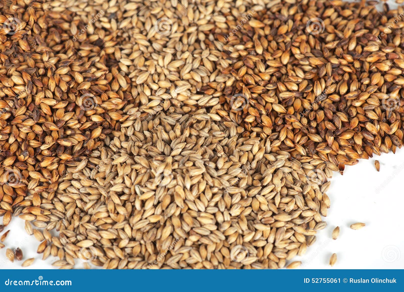 Granos de la malta imagen de archivo. Imagen de fondo - 52755061