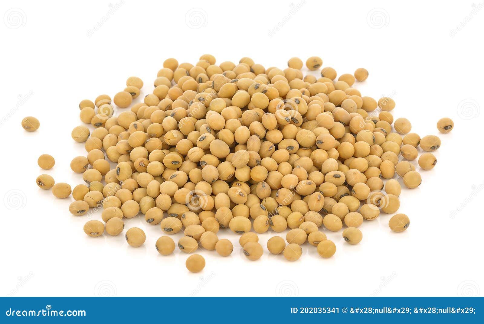 Granos De Soja En El Fondo Blanco. Imagen de archivo - Imagen de nadie ...