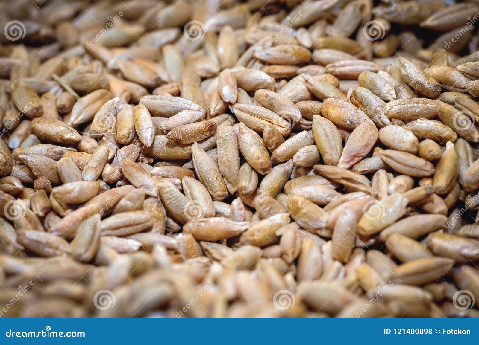 Granos del centeno foto de archivo. Imagen de alimento - 121400098