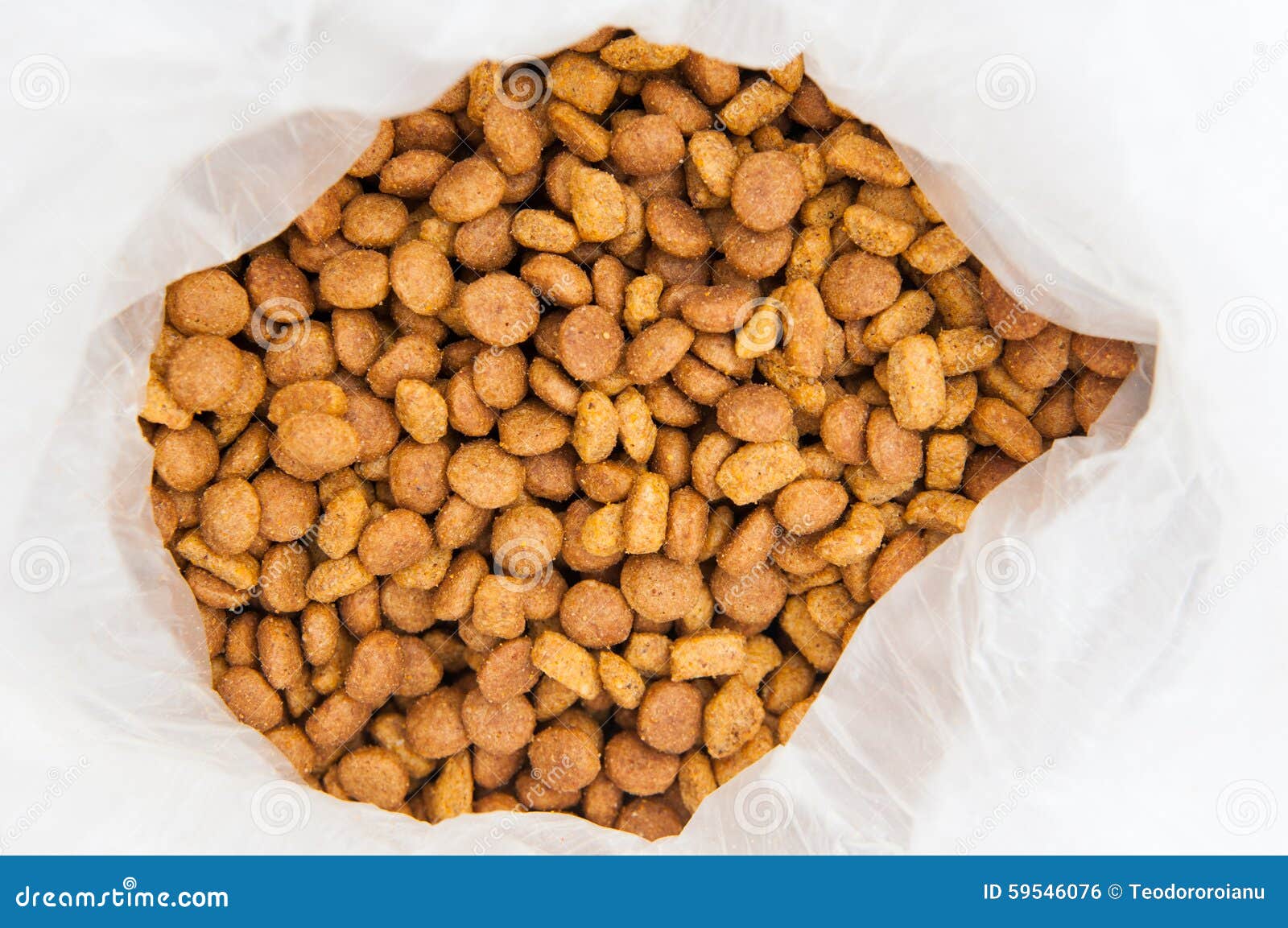Granos del gato foto de archivo. Imagen de alimento, completo - 59546076