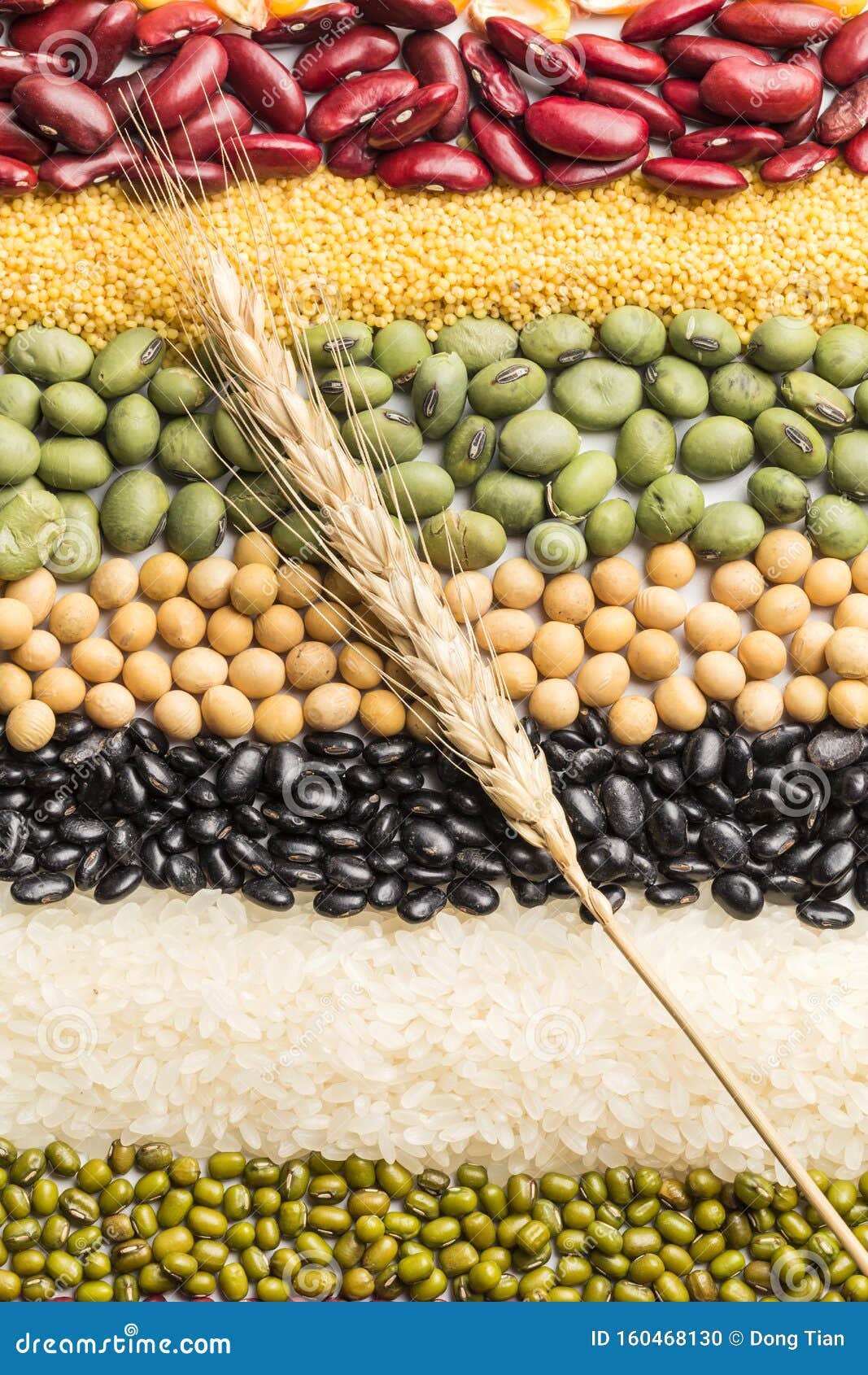 Granos Enteros Son Ricos En Nutrientes Foto de archivo - Imagen de ...