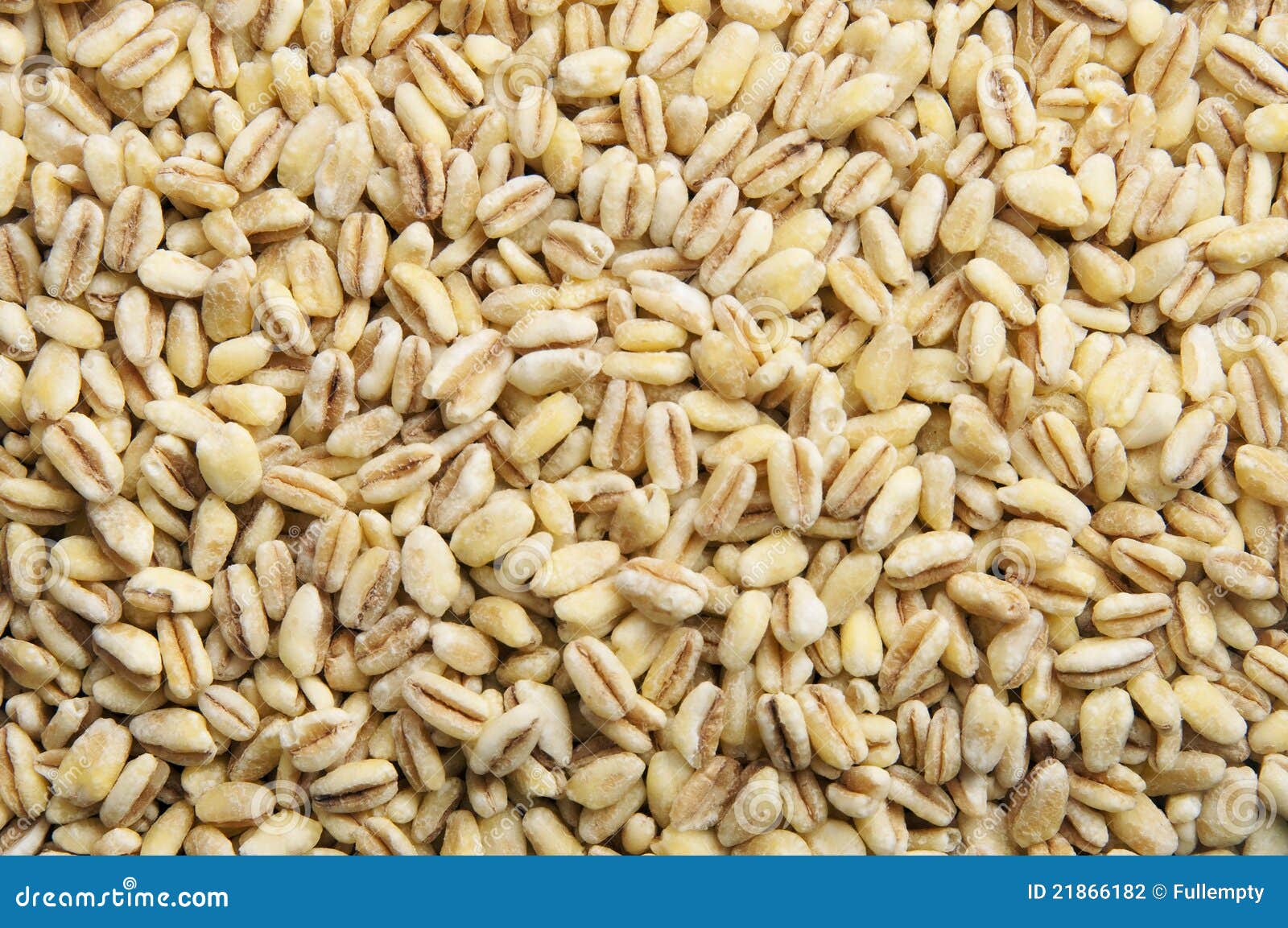 Granos Precocinados Del Trigo Foto de archivo - Imagen de textura ...