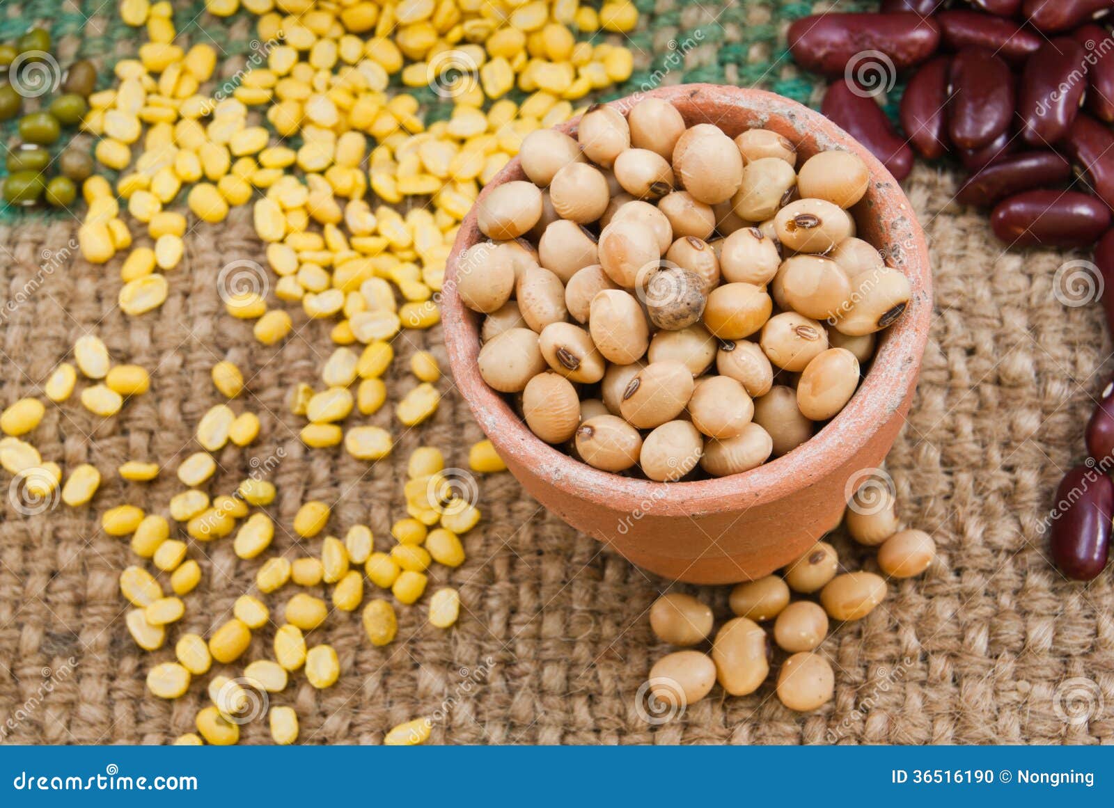 Granos, sojas foto de archivo. Imagen de crudo, legumbre - 36516190